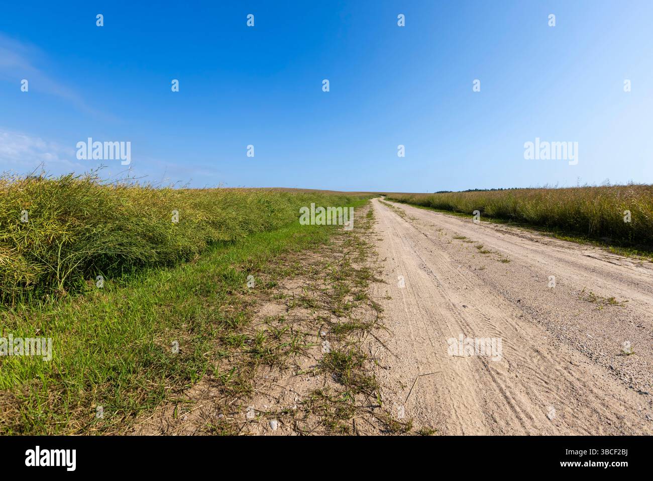 Gravel highway in rural areas , a simple primitive road for the ...