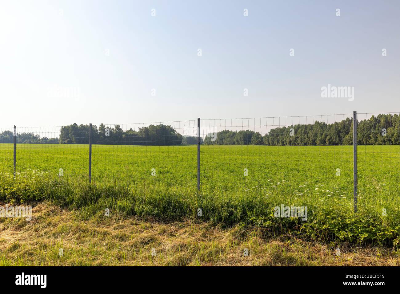 Metal fences for animal protection, an iron fence near the expressway ...