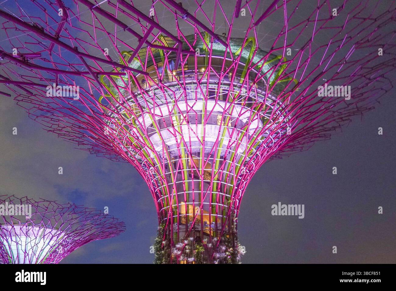 Singapore, Supertree grove, located inside Gardens By The Bay .These ...