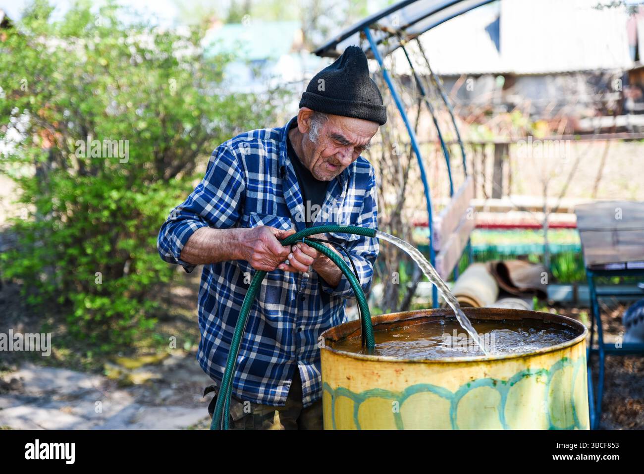 Elderly Russian man pulling a drainage pump hose from a barrel with ...