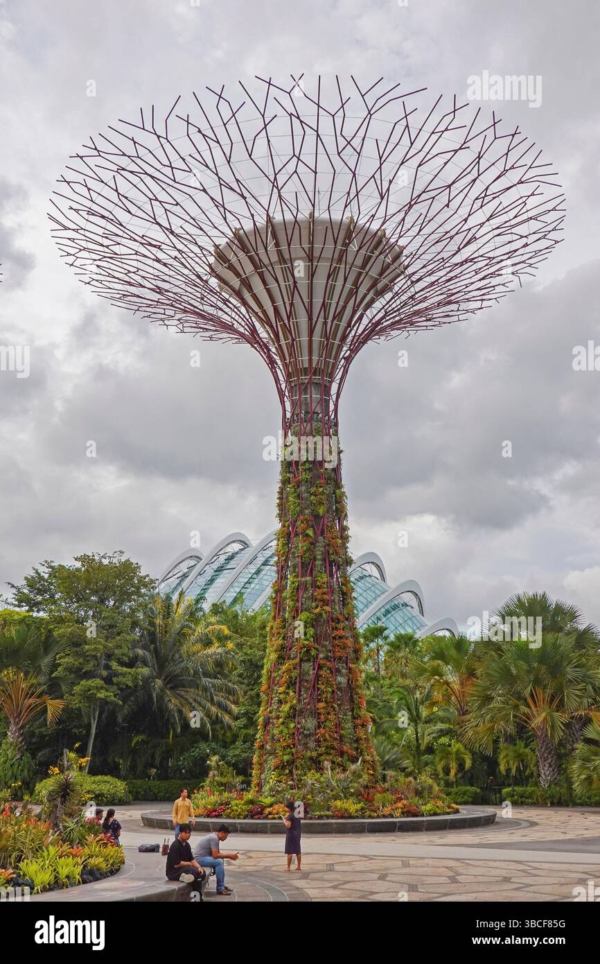 Singapore, Supertree grove, located inside Gardens By The Bay .These ...