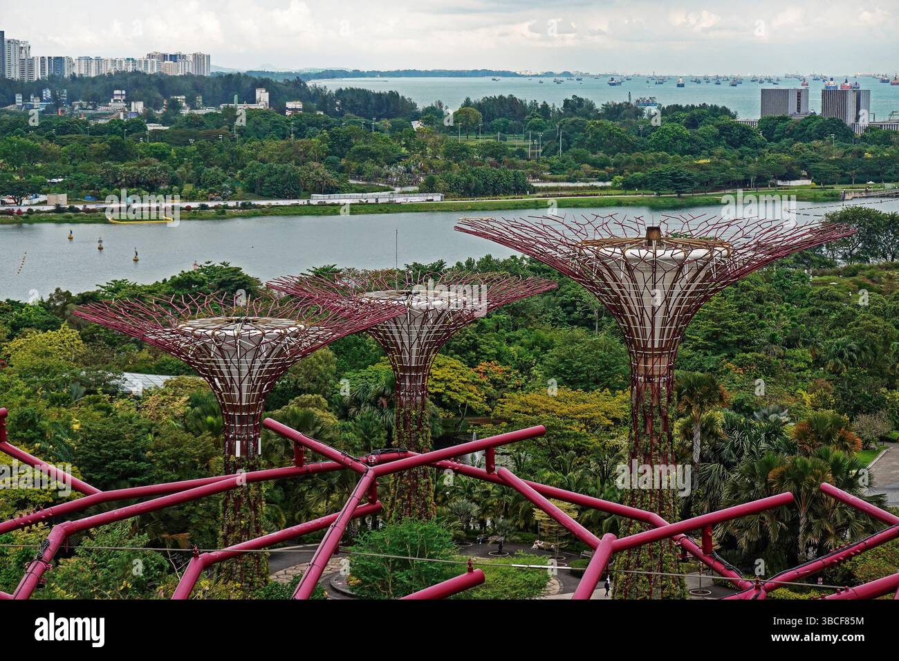 Singapore, Supertree grove, located inside Gardens By The Bay .These ...