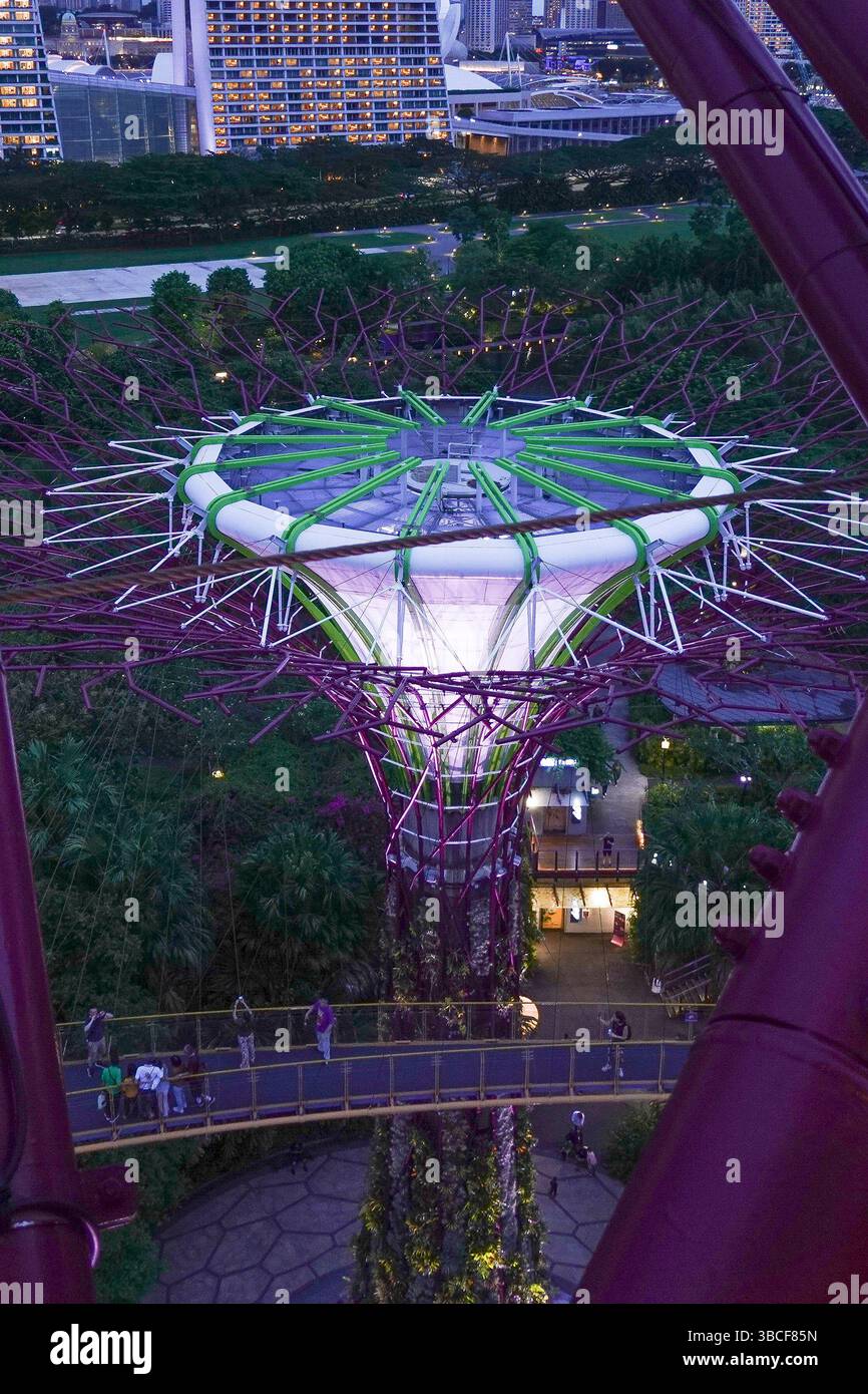 Singapore, Supertree grove, located inside Gardens By The Bay .These ...
