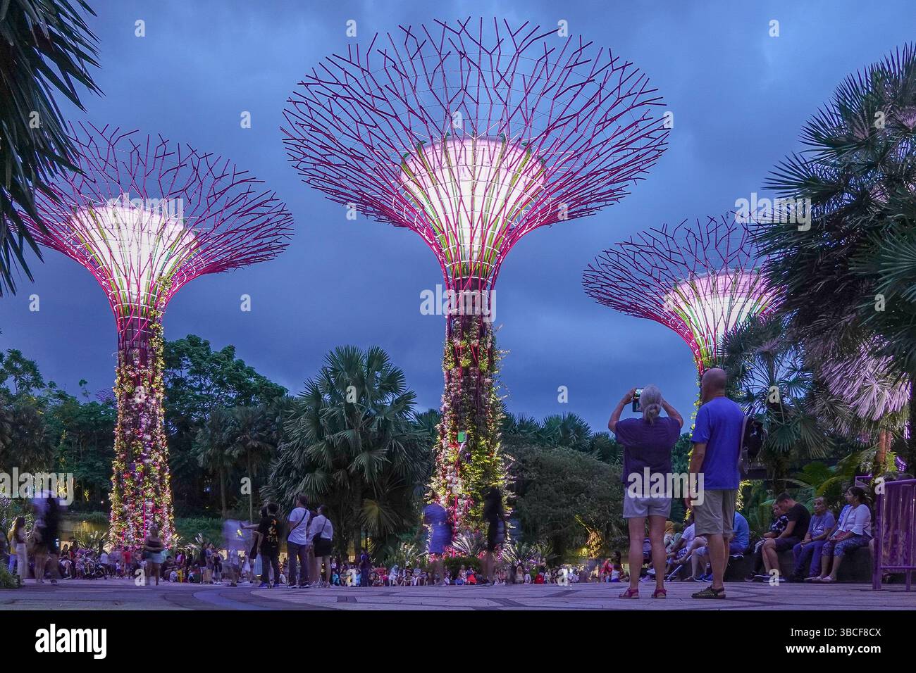 Singapore, Supertree grove, located inside Gardens By The Bay .These ...