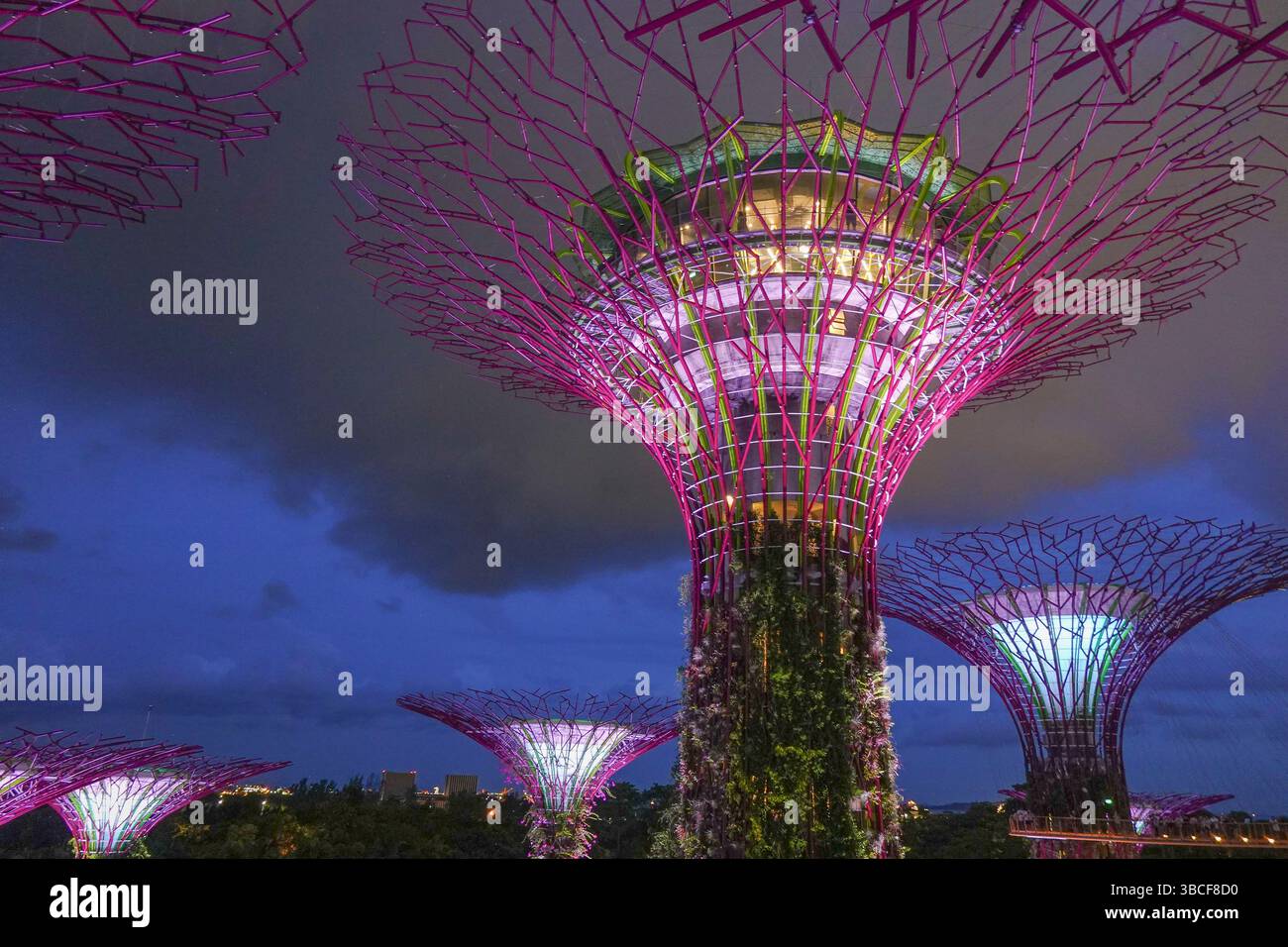 Singapore, Supertree grove, located inside Gardens By The Bay .These ...