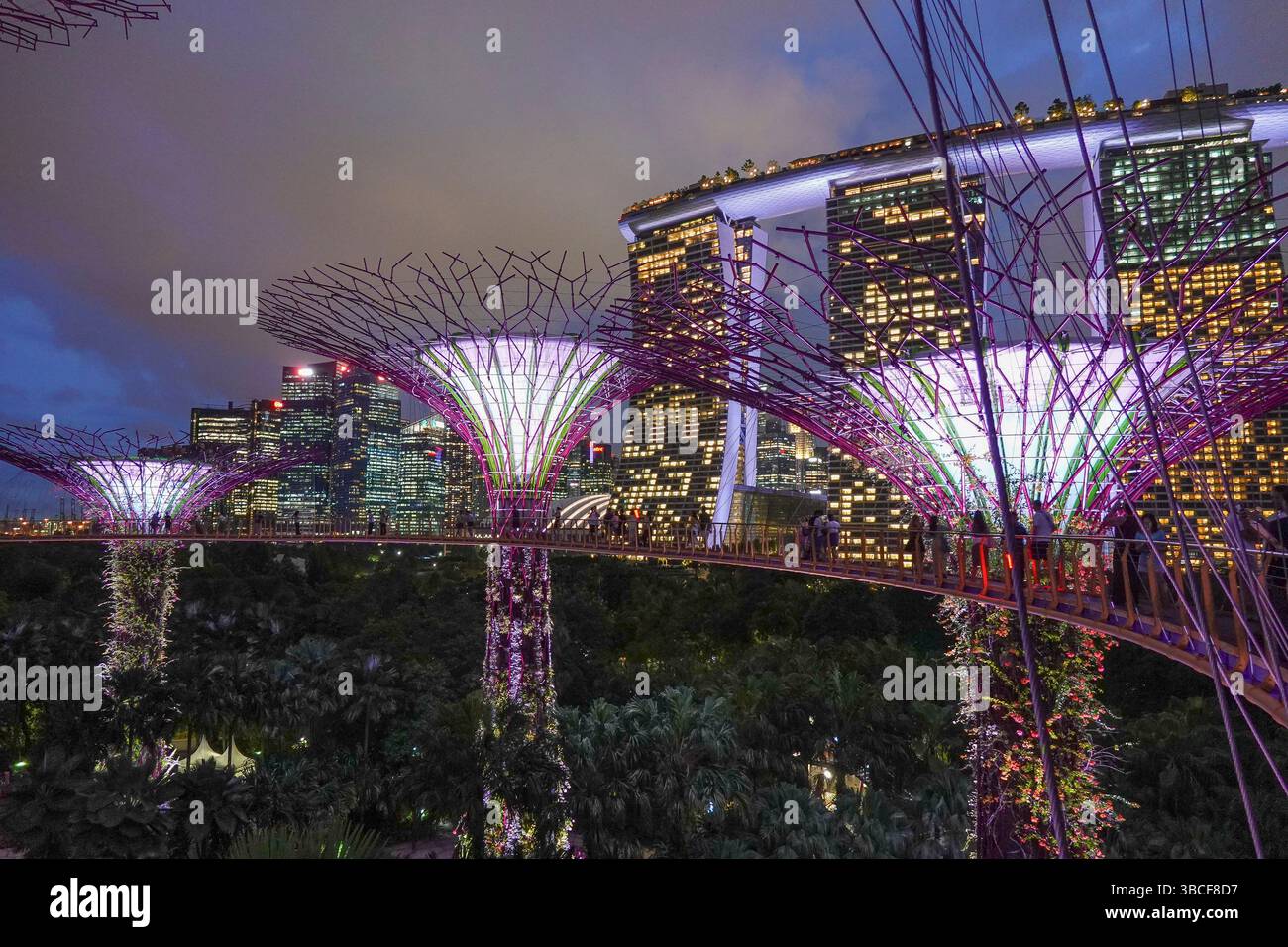 Singapore, Supertree grove, located inside Gardens By The Bay .These ...