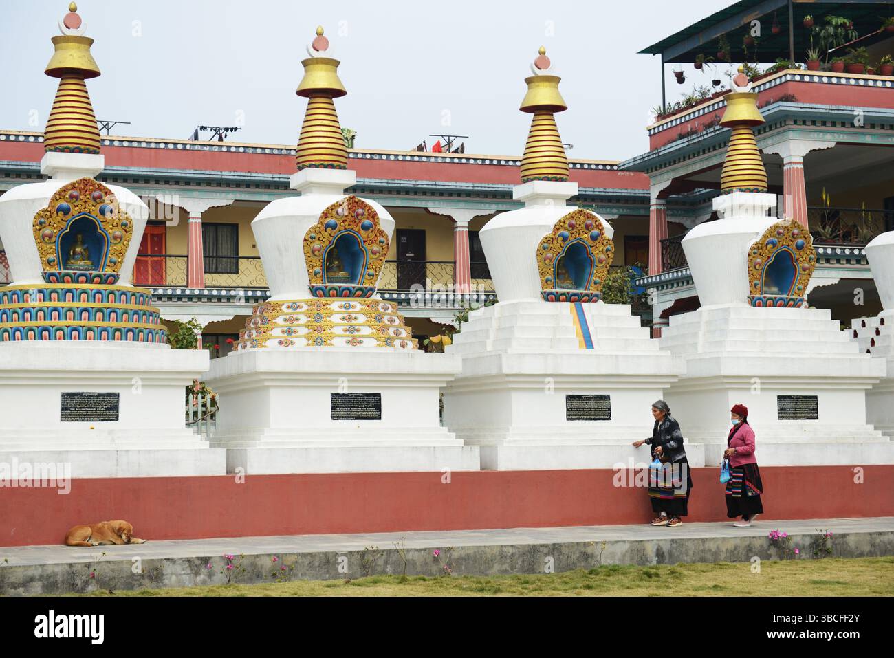 The Tharlam Monastery in Boudhanath, Kathmandu, Nepal Stock Photo - Alamy