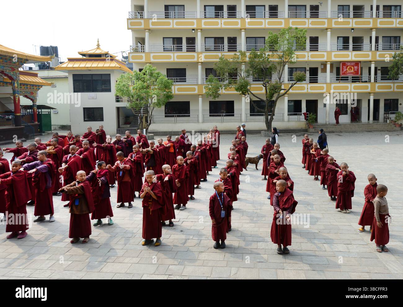 Young Tibetan Buddhist monks in an outdoor exercise with their teachers ...
