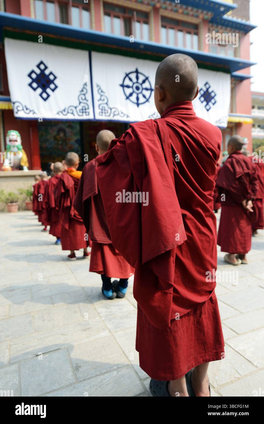 Young Tibetan Buddhist monks in an outdoor exercise with their teachers ...
