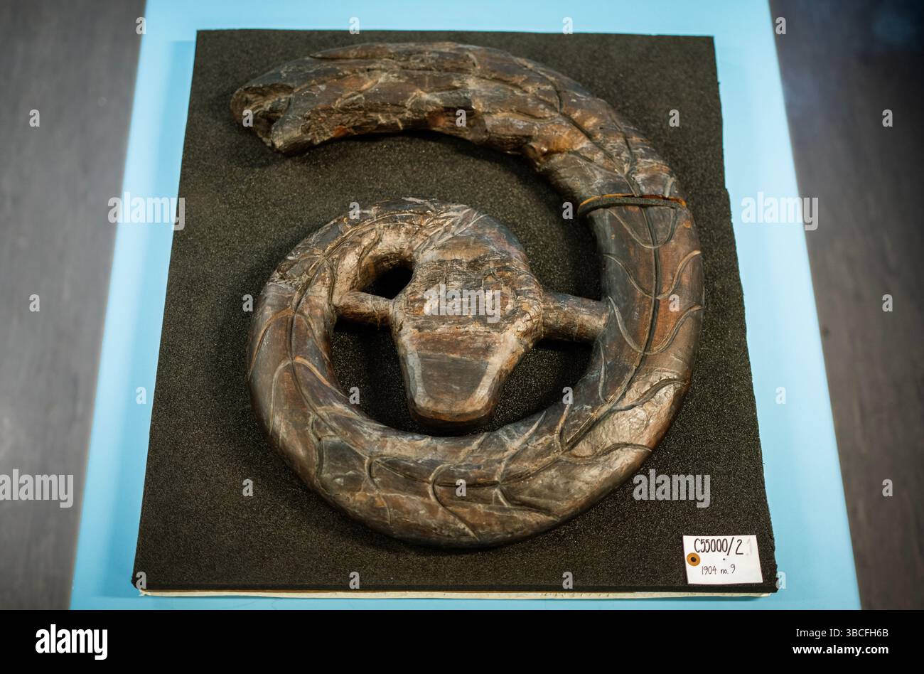 Oslo 20250519. The original worm head from the Oseberg ship will be ...