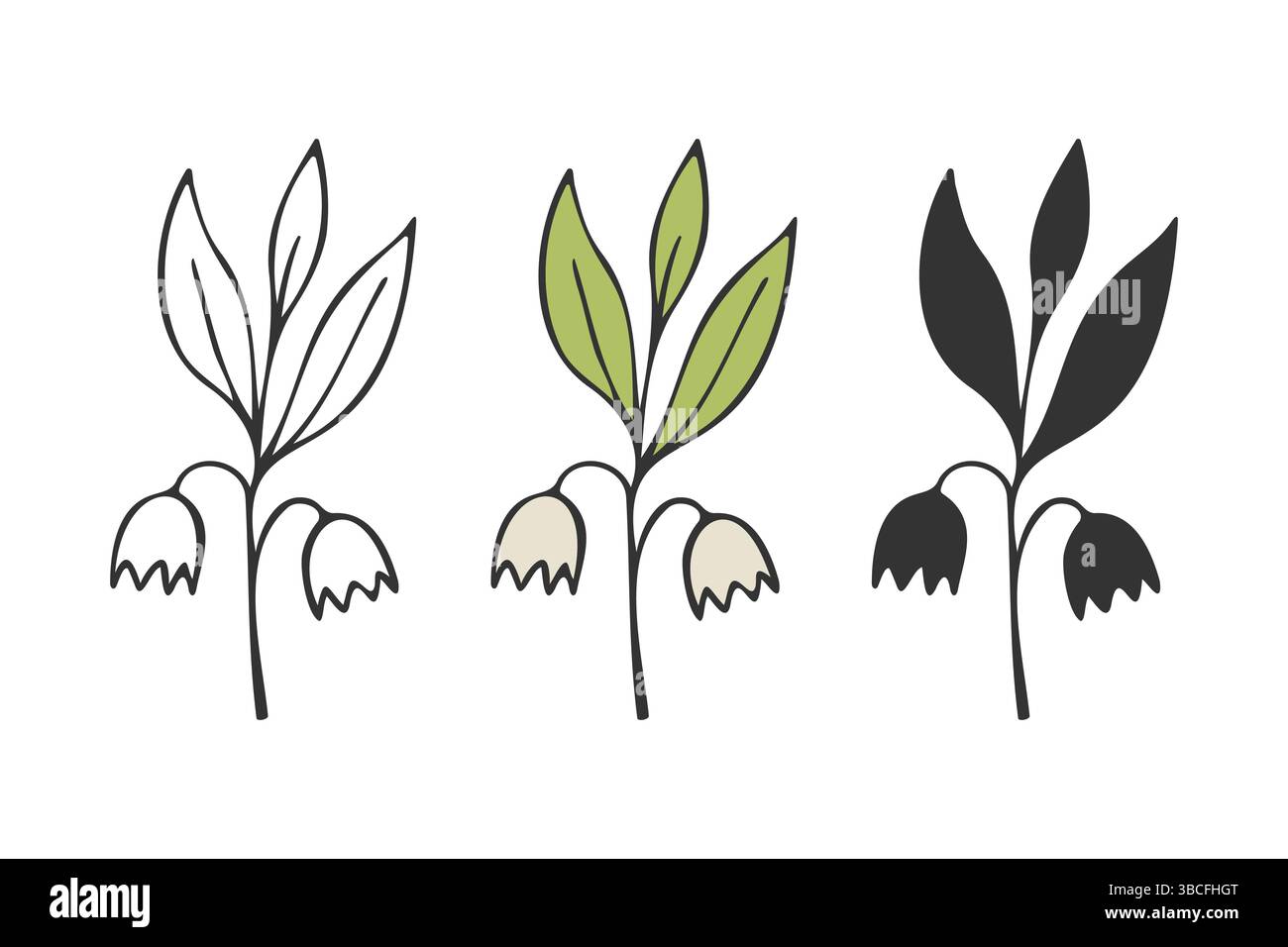 Lilies of valley Convallaria flowers set, doodle hand drawing, contour ...