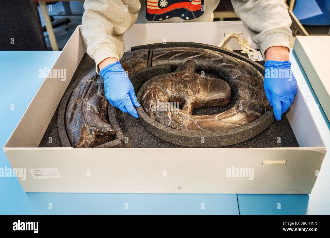 Oslo 20250519. The original worm head from the Oseberg ship will be ...