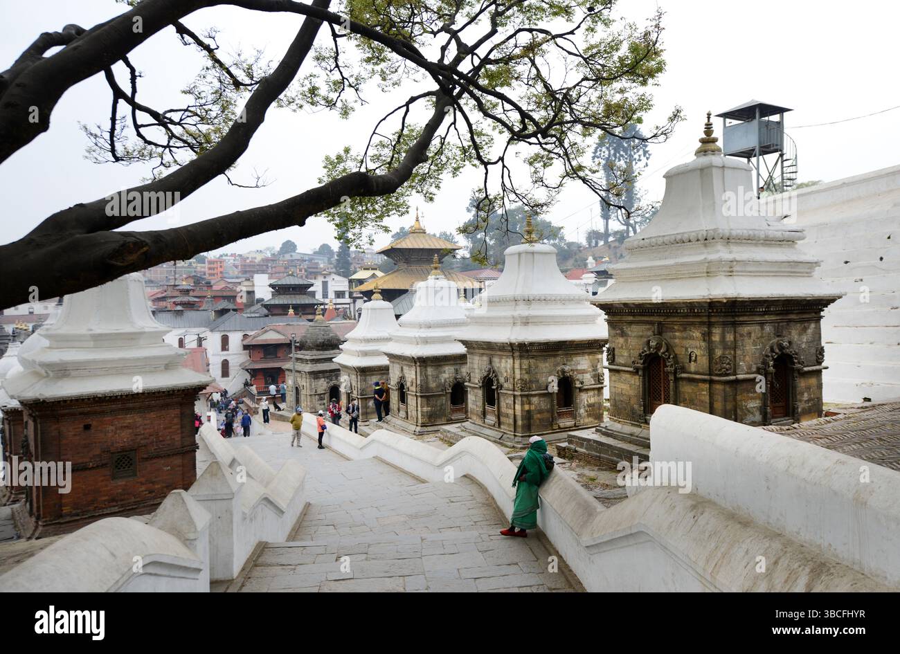 Walkway with small temples leading to the Shivalaya Mandir at the ...
