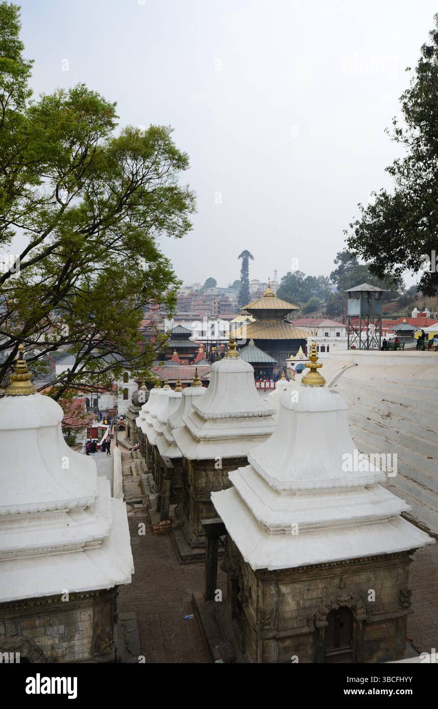 Walkway with small temples leading to the Shivalaya Mandir at the ...