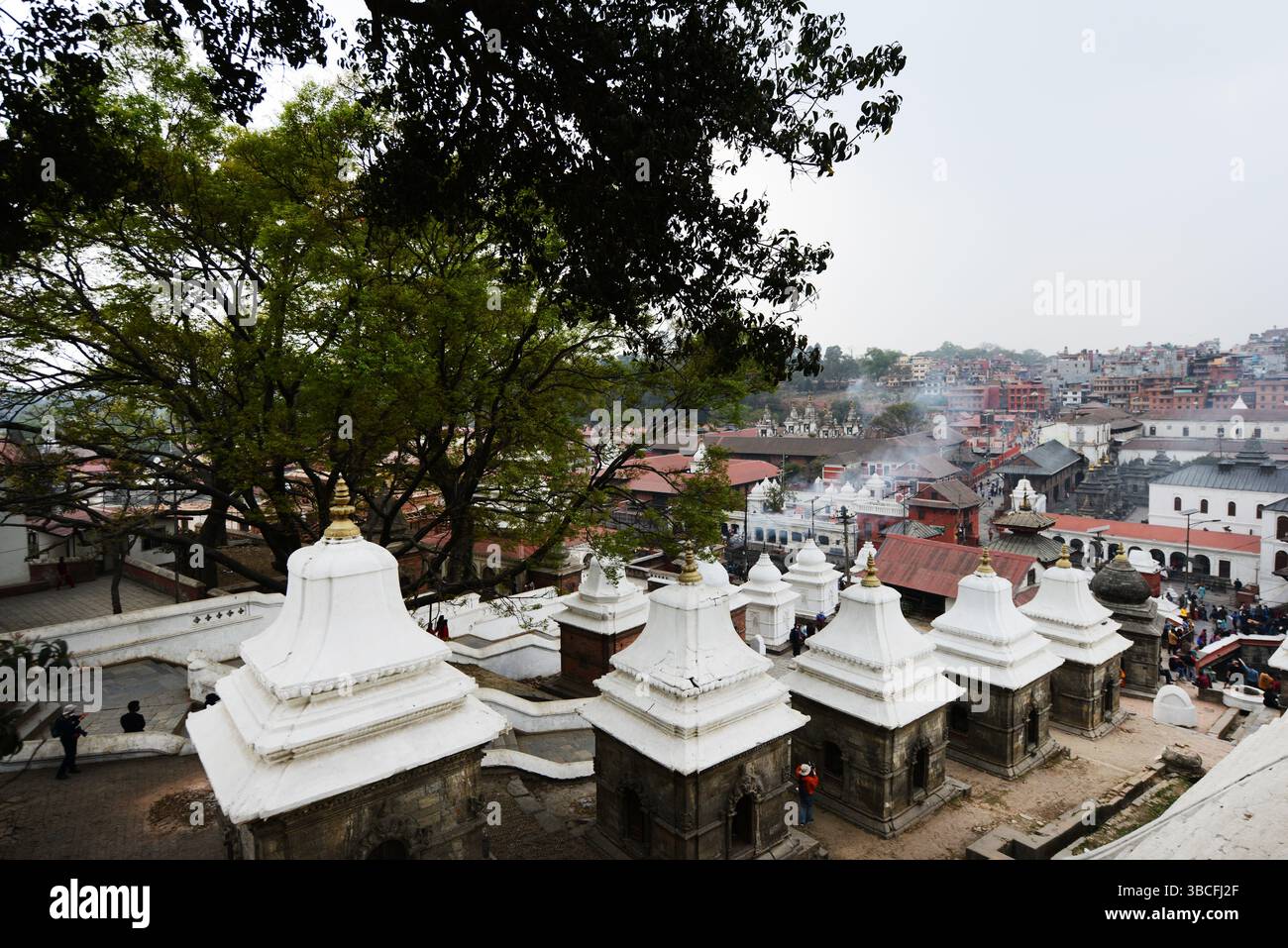 Walkway with small temples leading to the Shivalaya Mandir at the ...