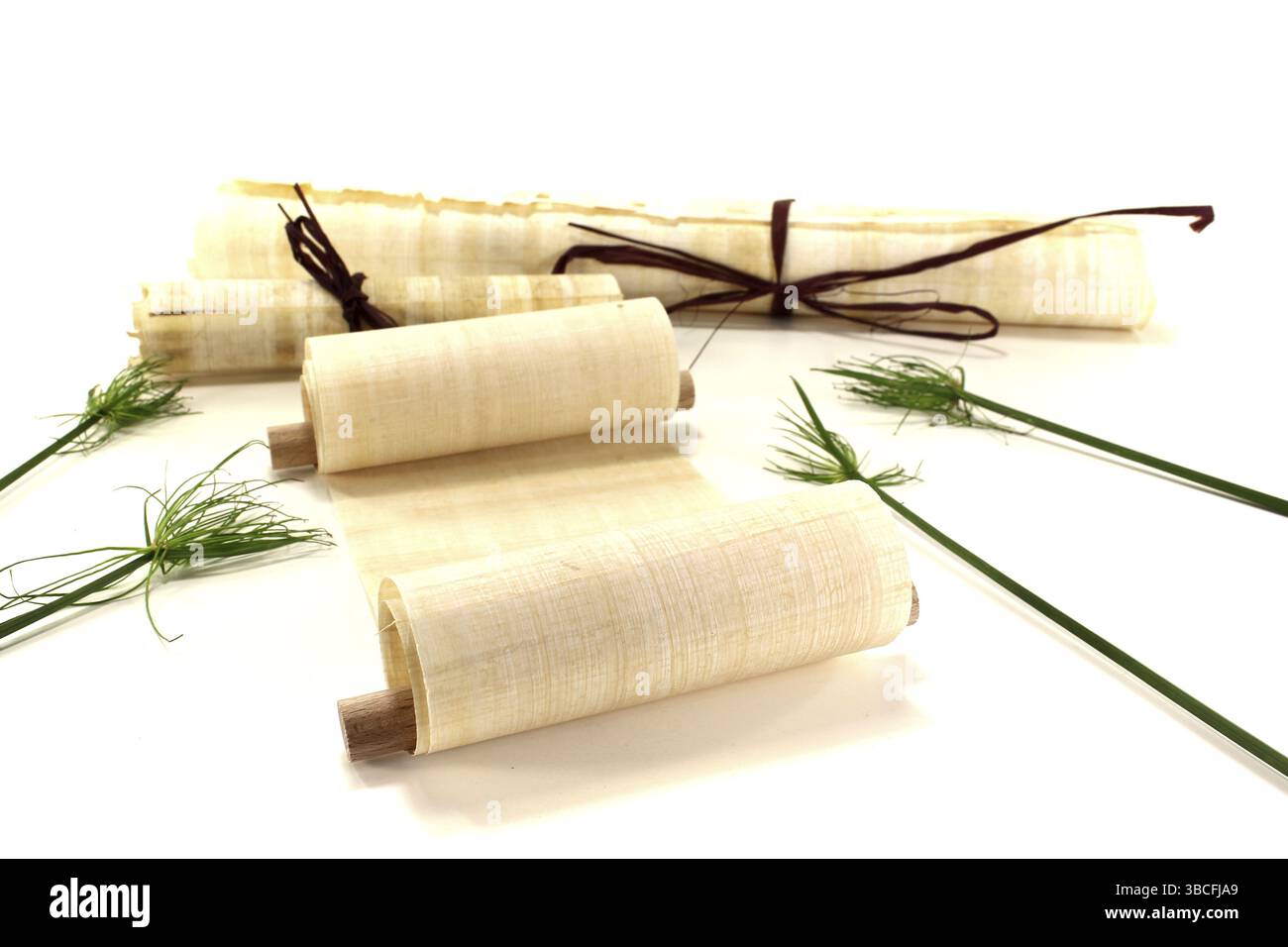 Yellowed papyrus scrolls with papyrus against a light background Stock ...