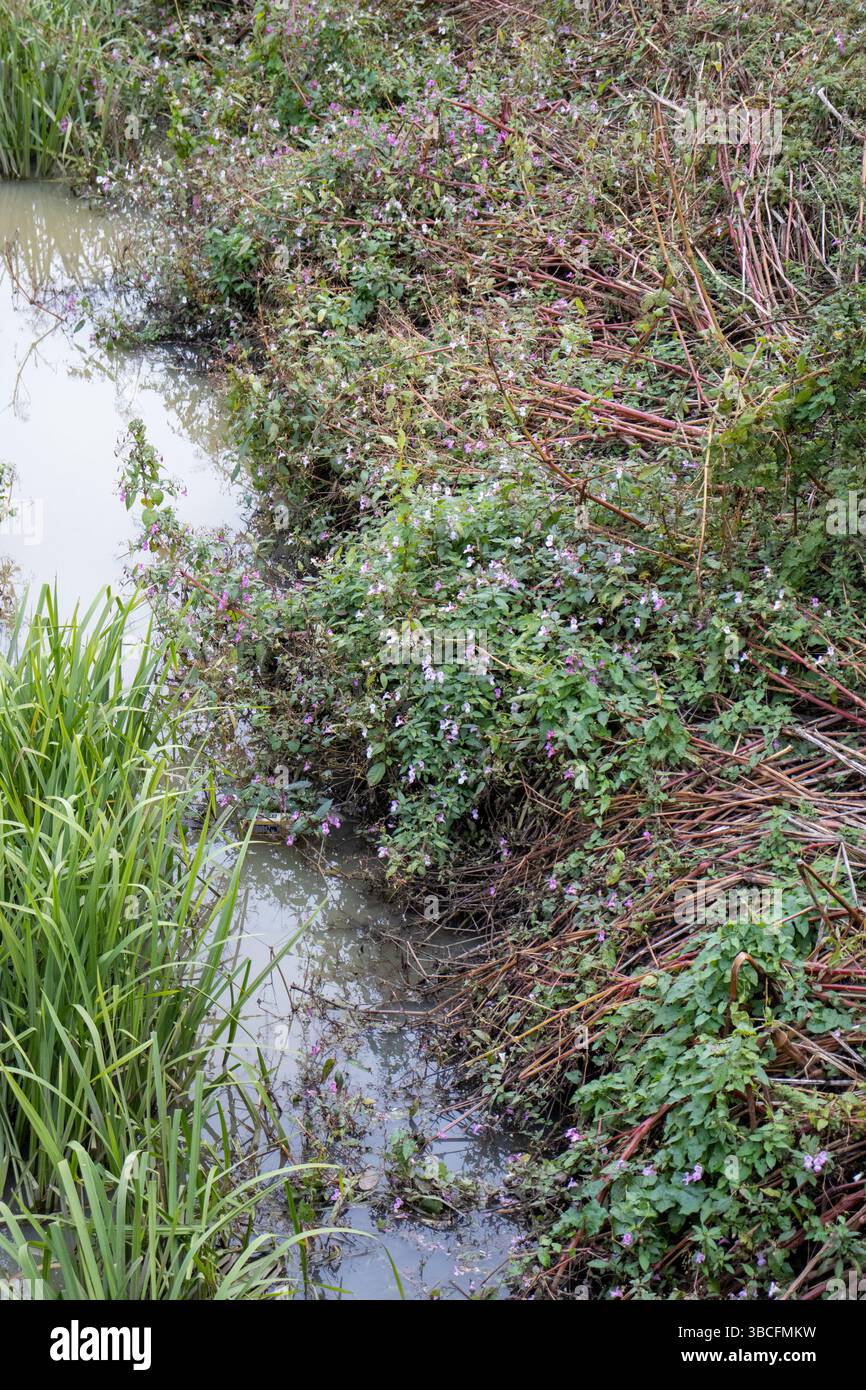 Dirty water filled channel hi-res stock photography and images - Alamy