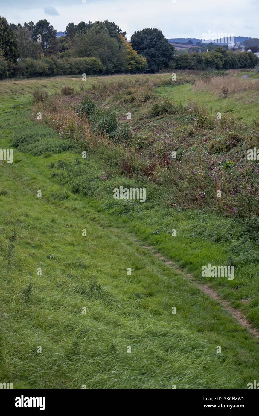 dirty water filled channel with low cut grass and weeds Stock Photo - Alamy