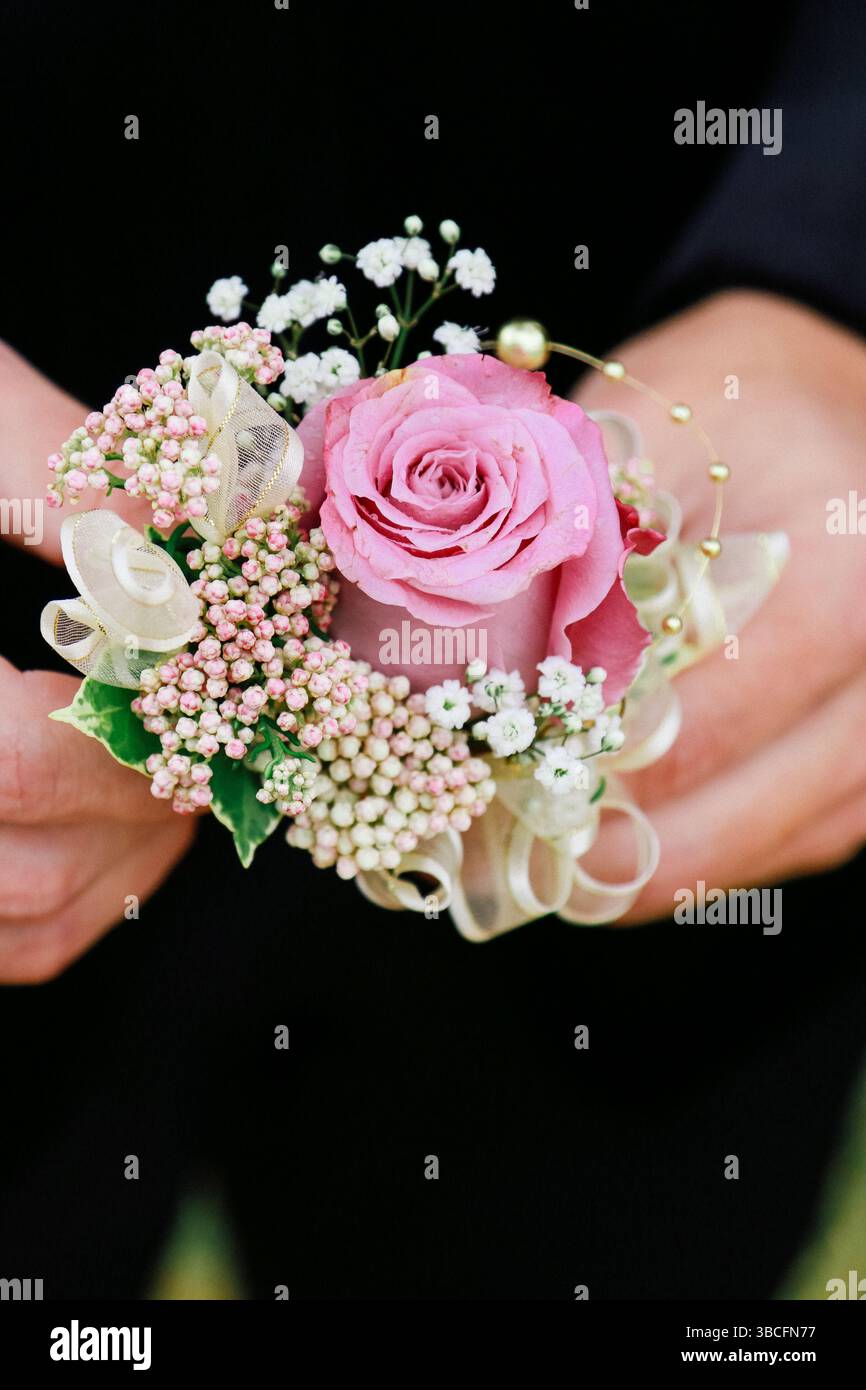 Pink rose corsage held Stock Photo - Alamy