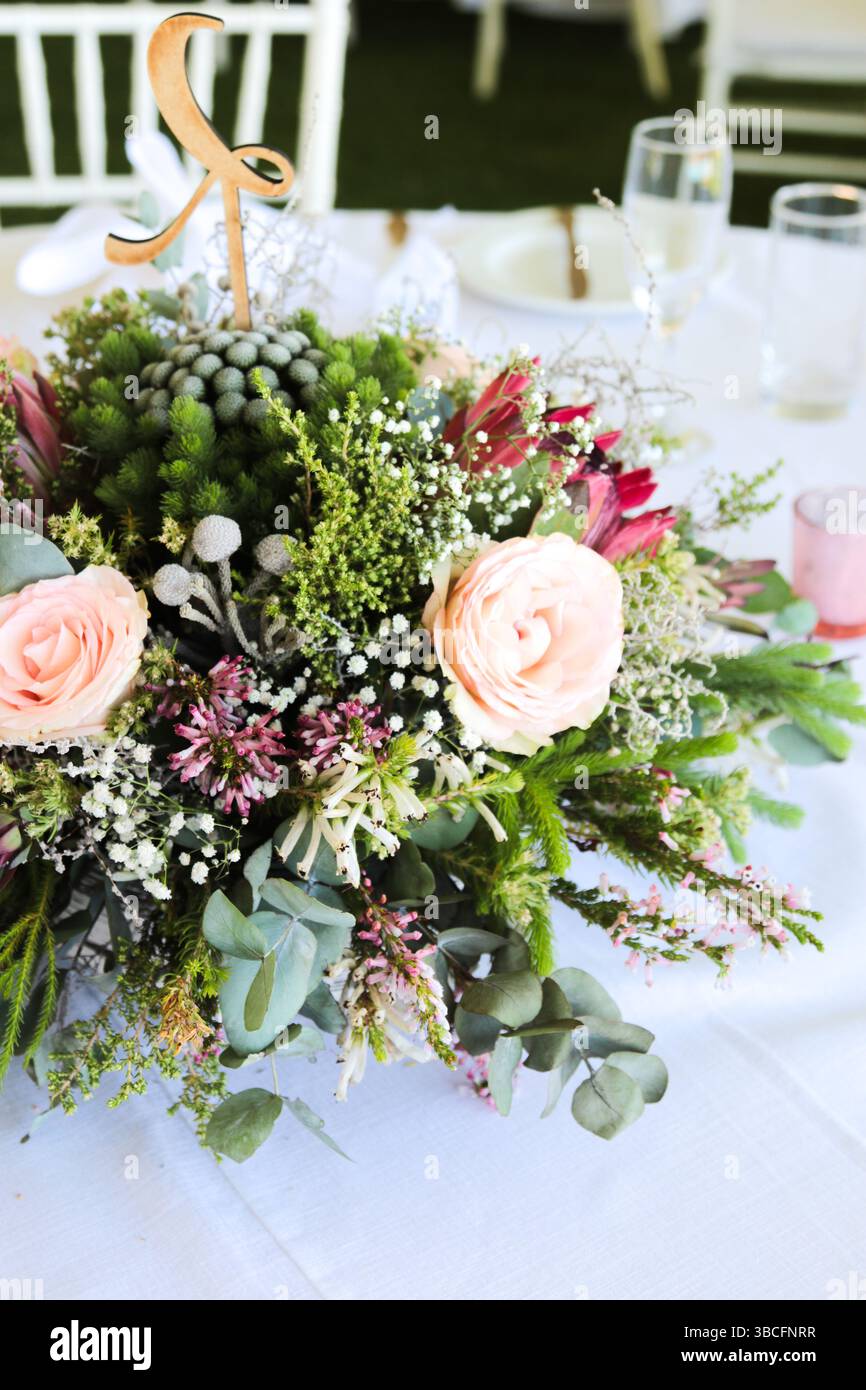 Rose protea fynbos table hi-res stock photography and images - Alamy