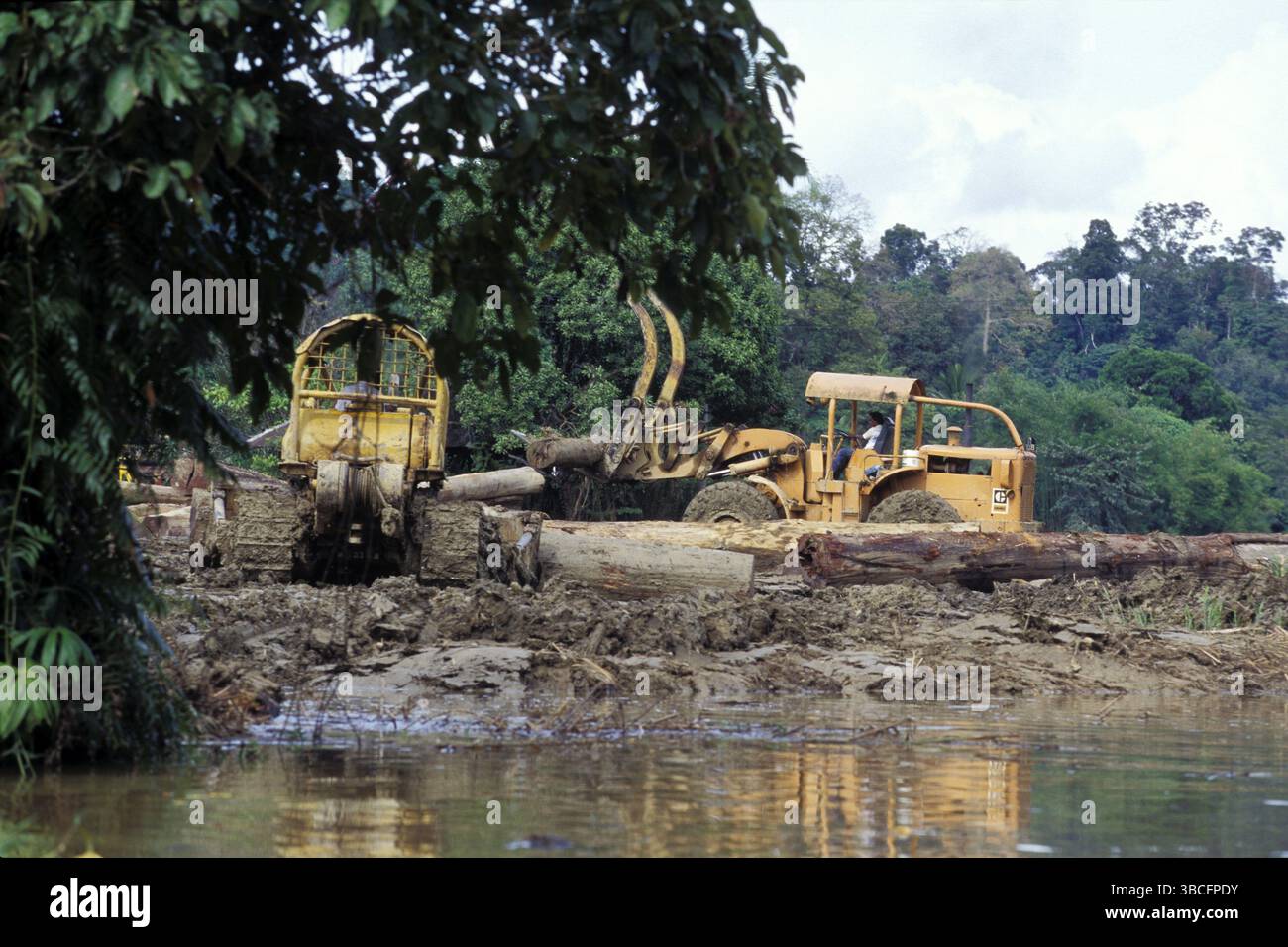 Rainforest deforestation, Borneo, rainforest destruction, Malaysia ...