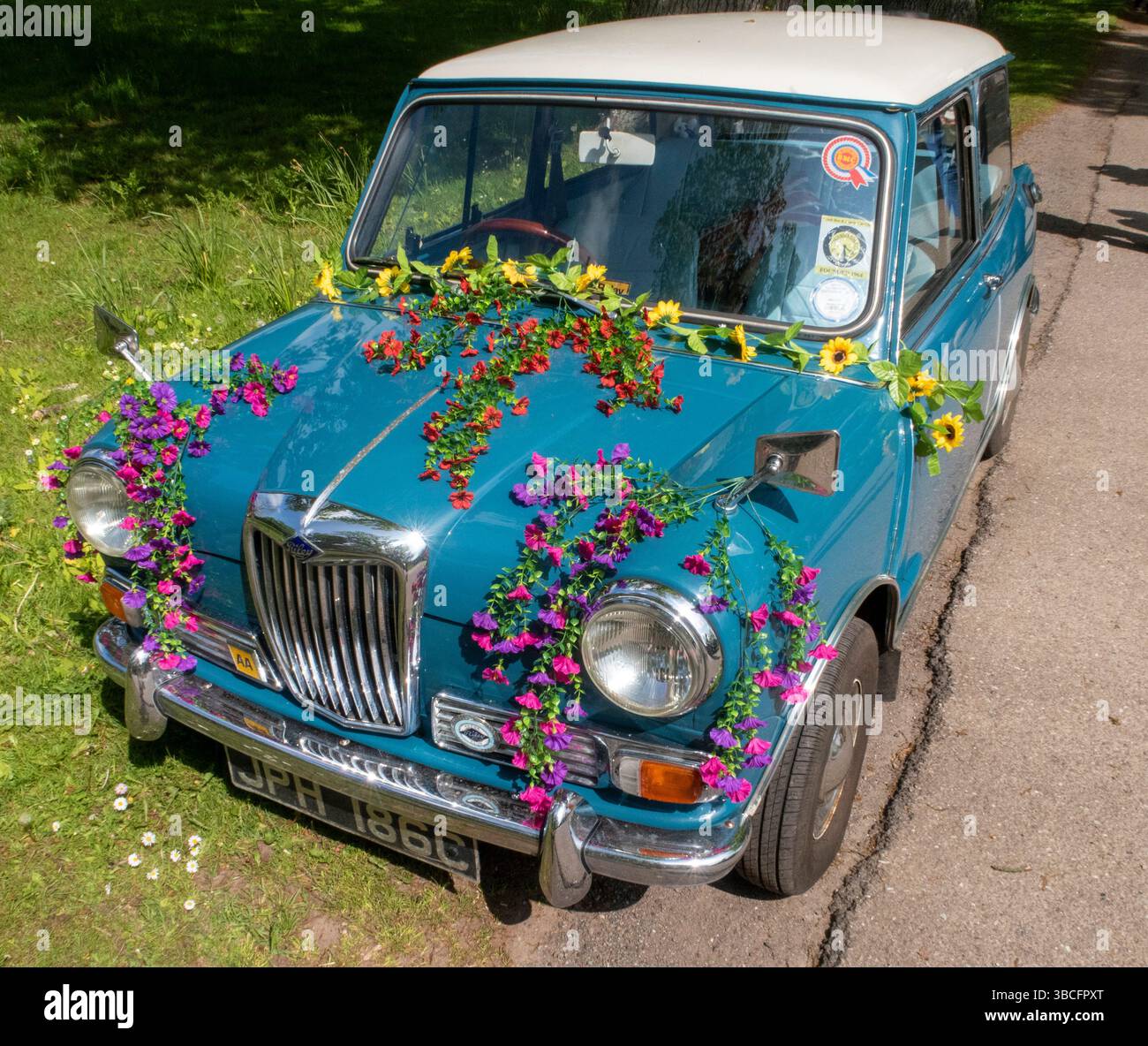 Flowers strewn across the front and bonnet hood of a Riley Elf, a ...