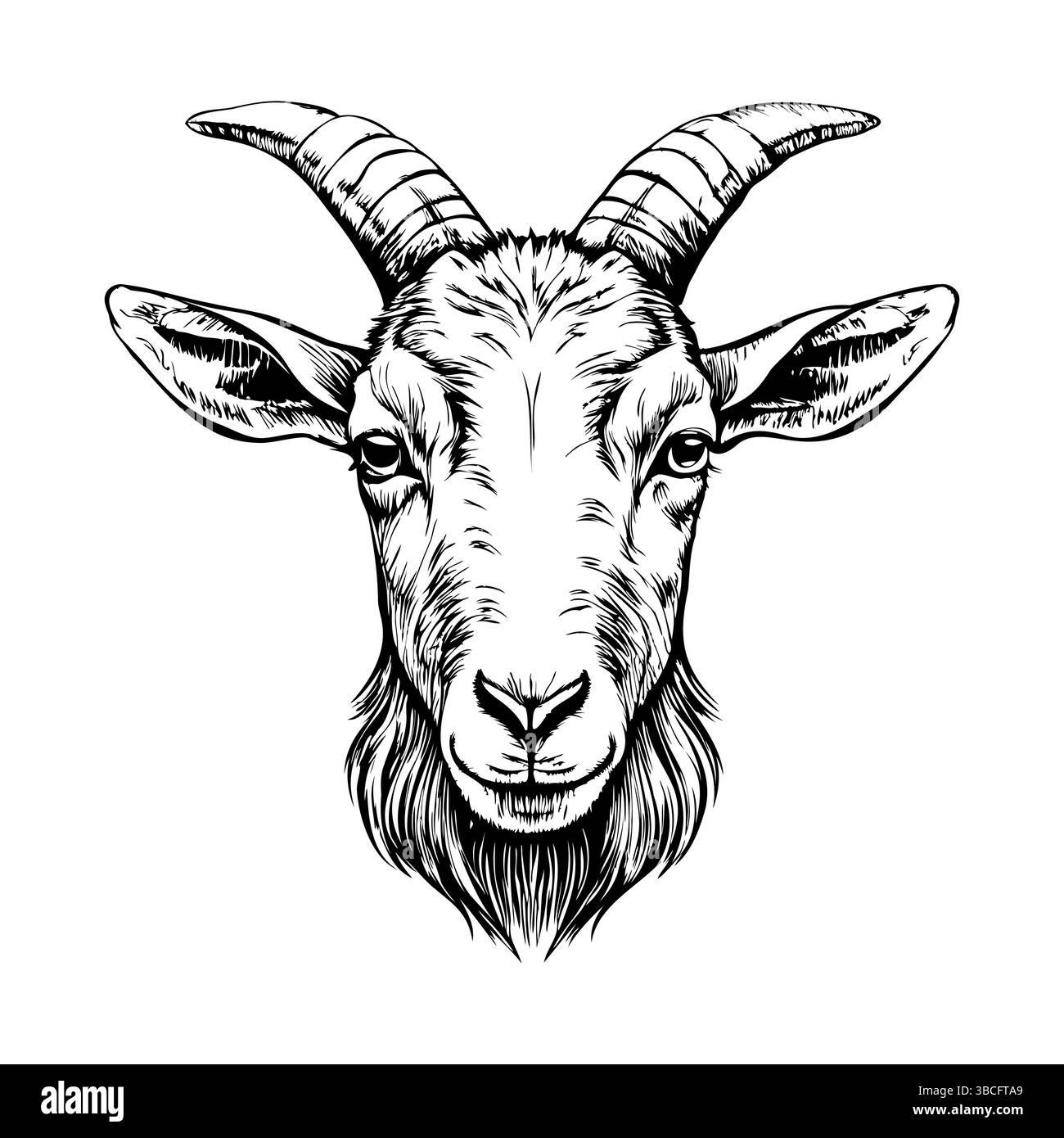 Goat head drawing in black and white vintage sketch style Stock Vector ...