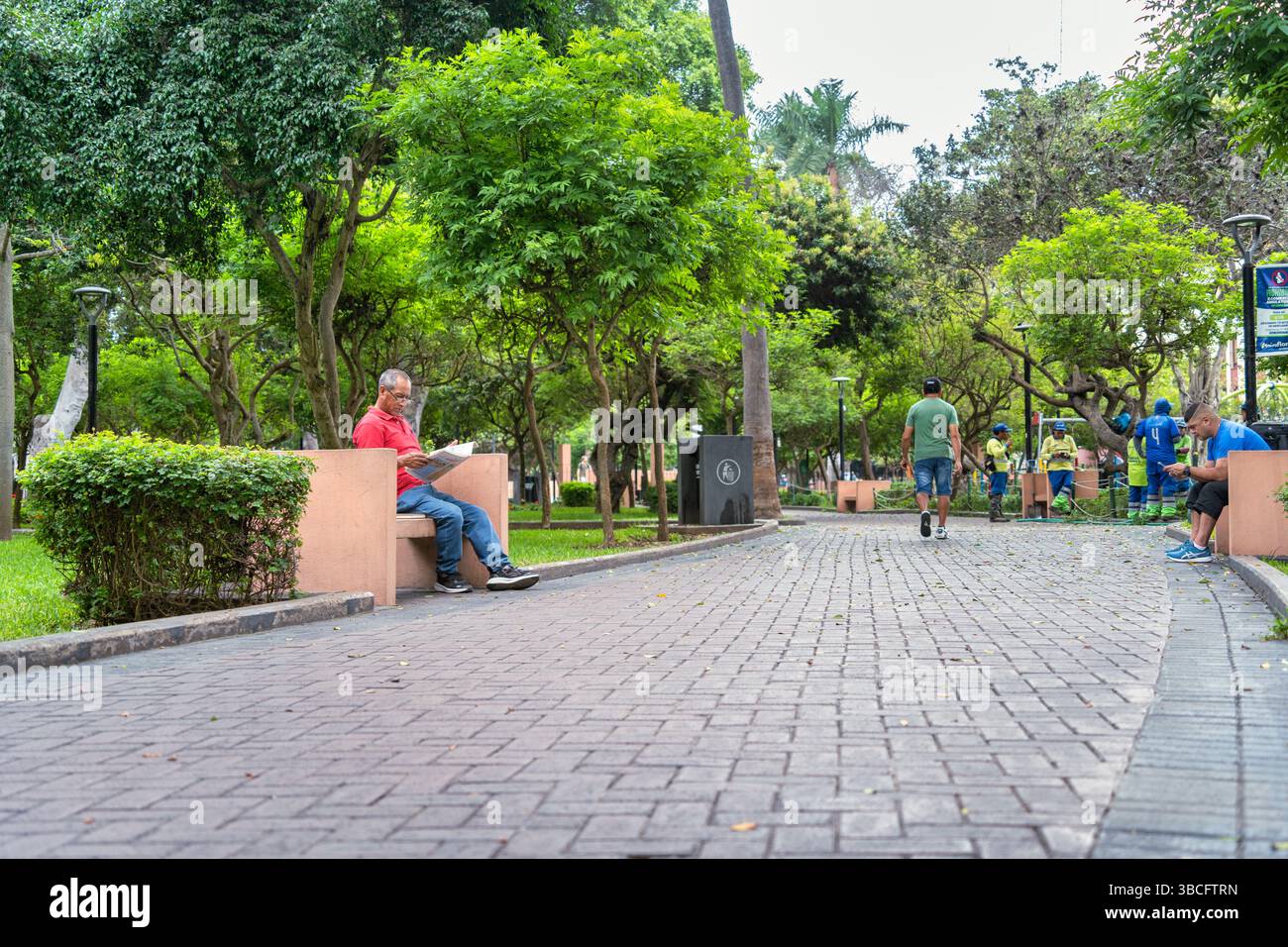 Lima, Peru - March 11, 2025: A tranquil scene in Kennedy Park with a ...