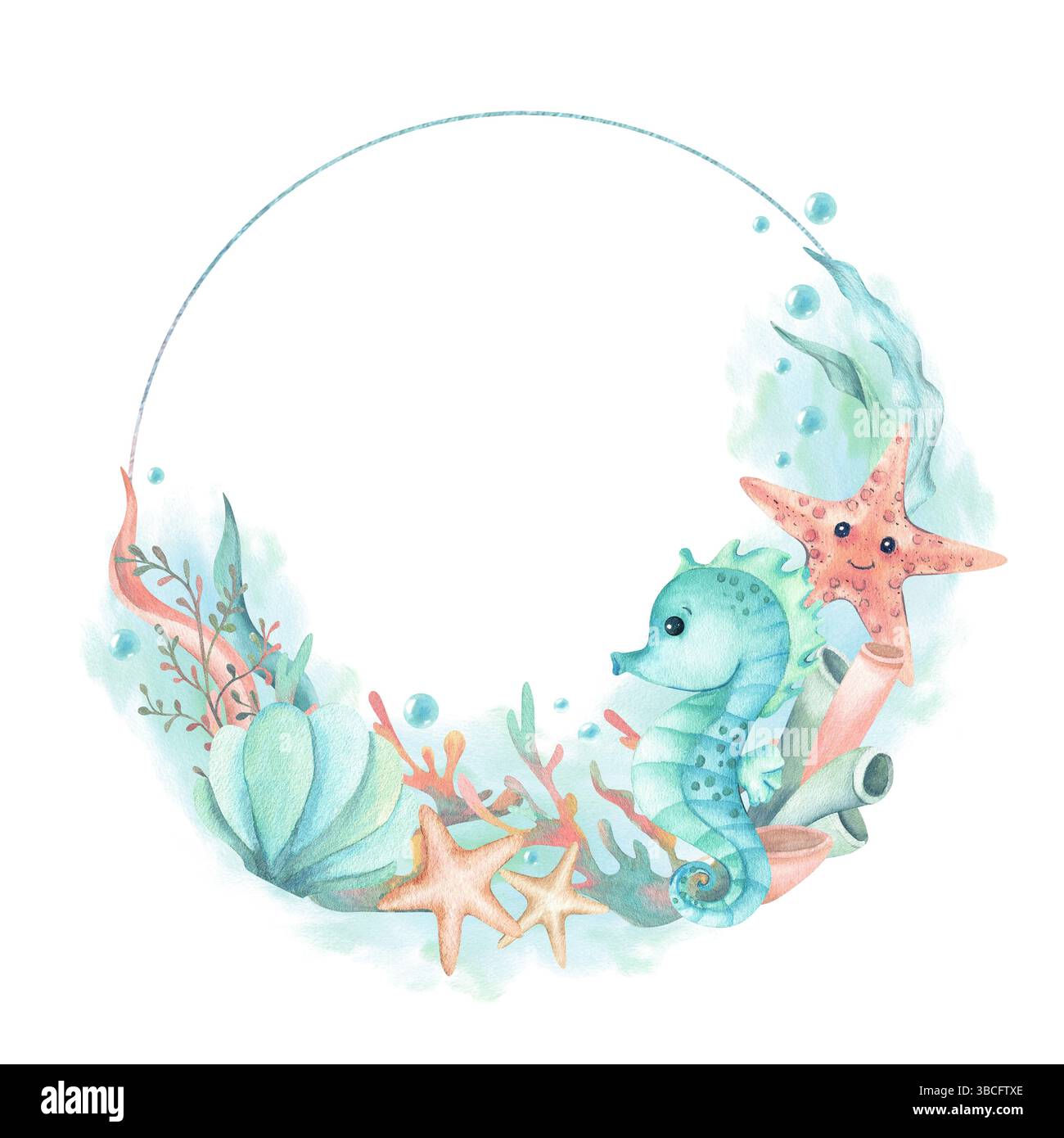 Seahorse, starfish cute characters in circle frame. Algae, seashell ...