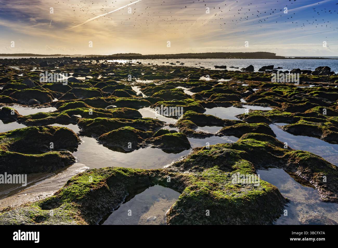 Beautiful warm evening light over a wild sand and rock beach with tidal ...