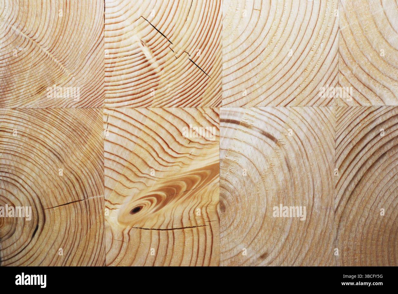 Wooden circle with a split cut of the log Stock Photo - Alamy