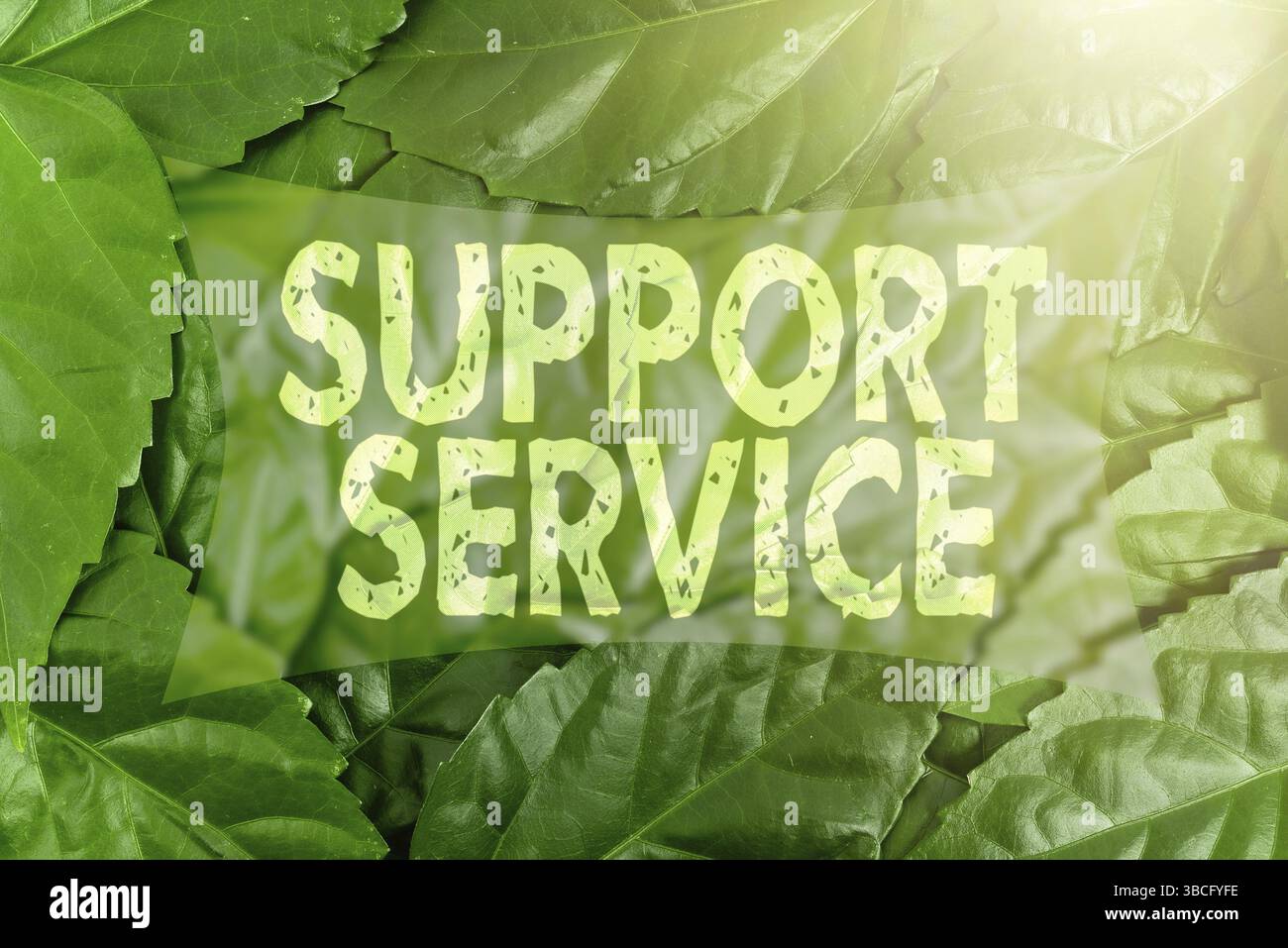 Inspiration showing sign Support Service, Business approach activity ...