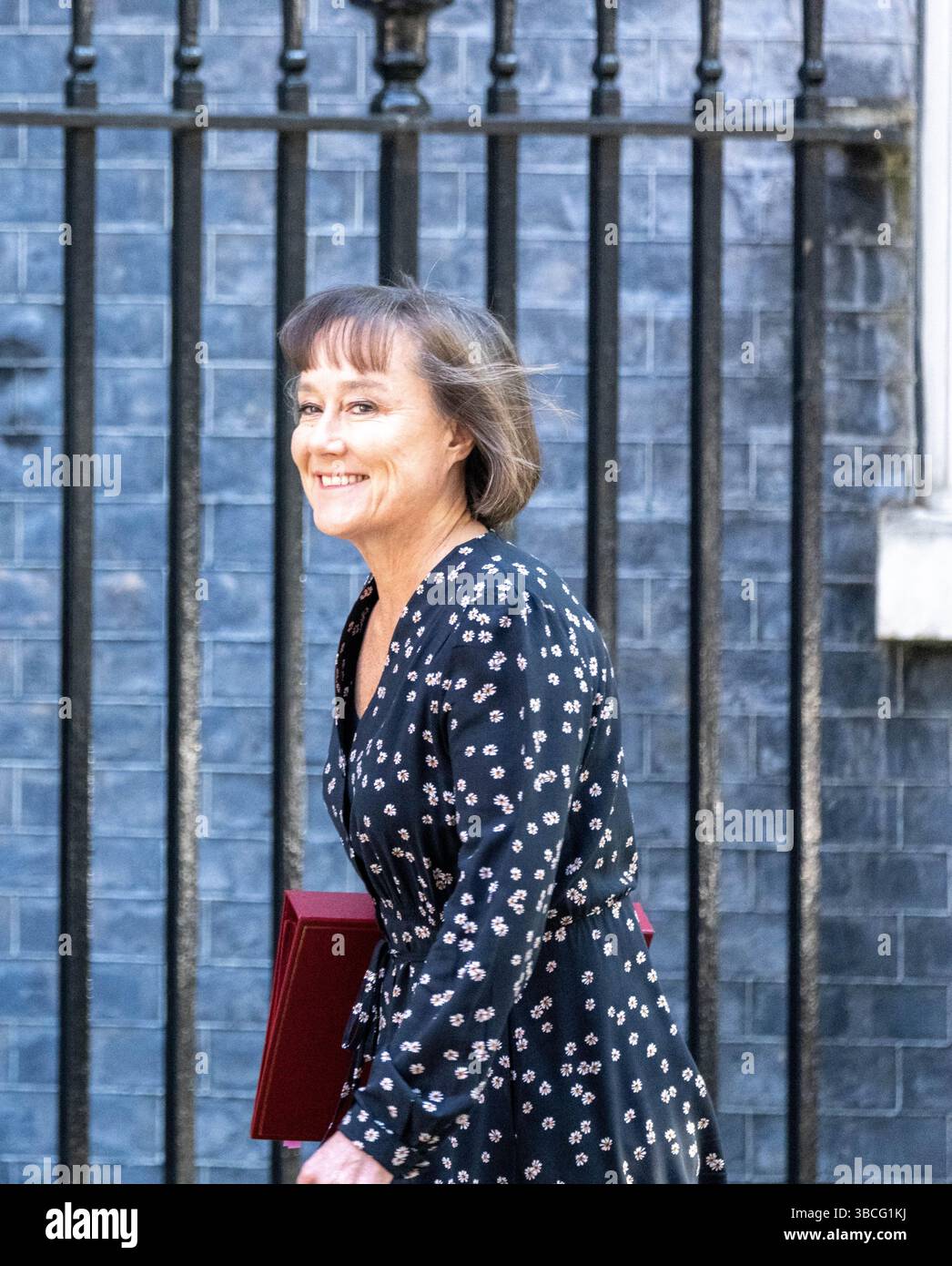London, UK. 20th May, 2025. Jo Stevens, Welsh Secretary, at a cabinet ...