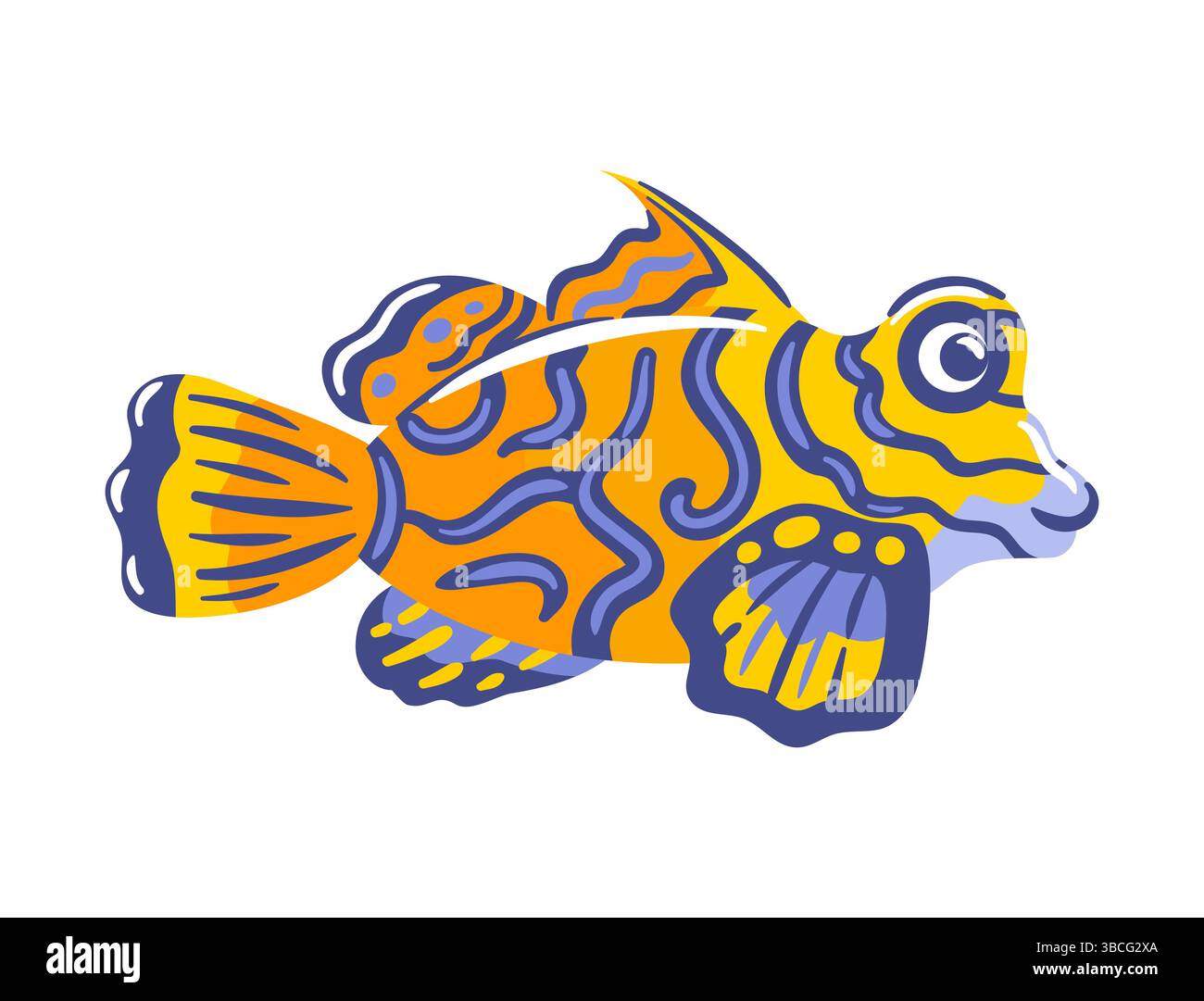 vector illustration features a stunning mandarinfish, showcasing its ...