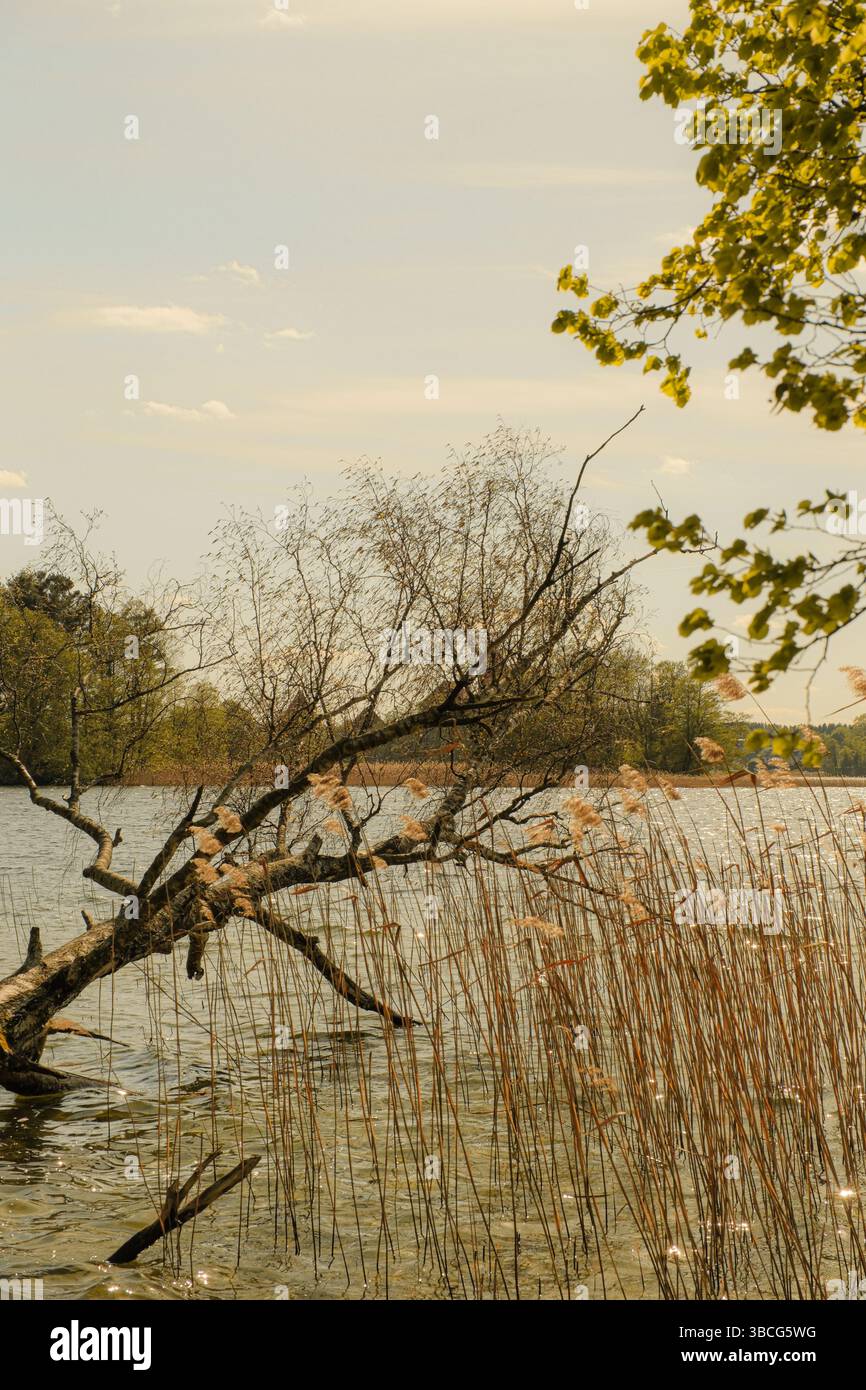 Light breeze on lake in hi-res stock photography and images - Alamy