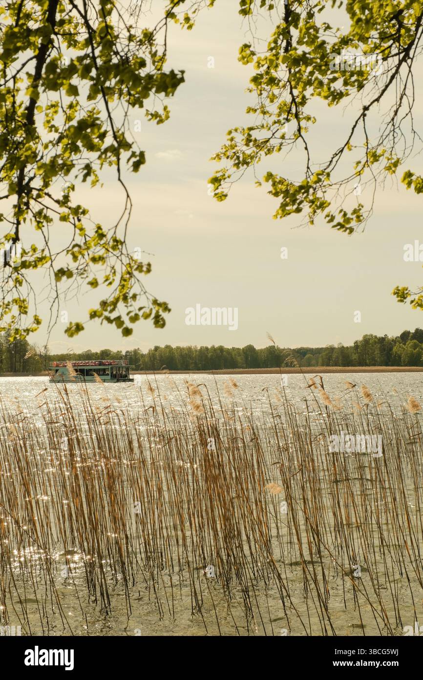 Quiet lake surrounded nature hi-res stock photography and images - Alamy