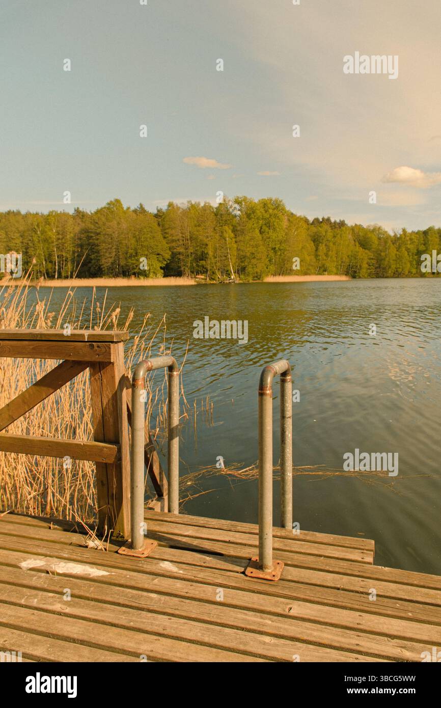 Wooden dock with a metal ladder leading into a calm forest lake during ...