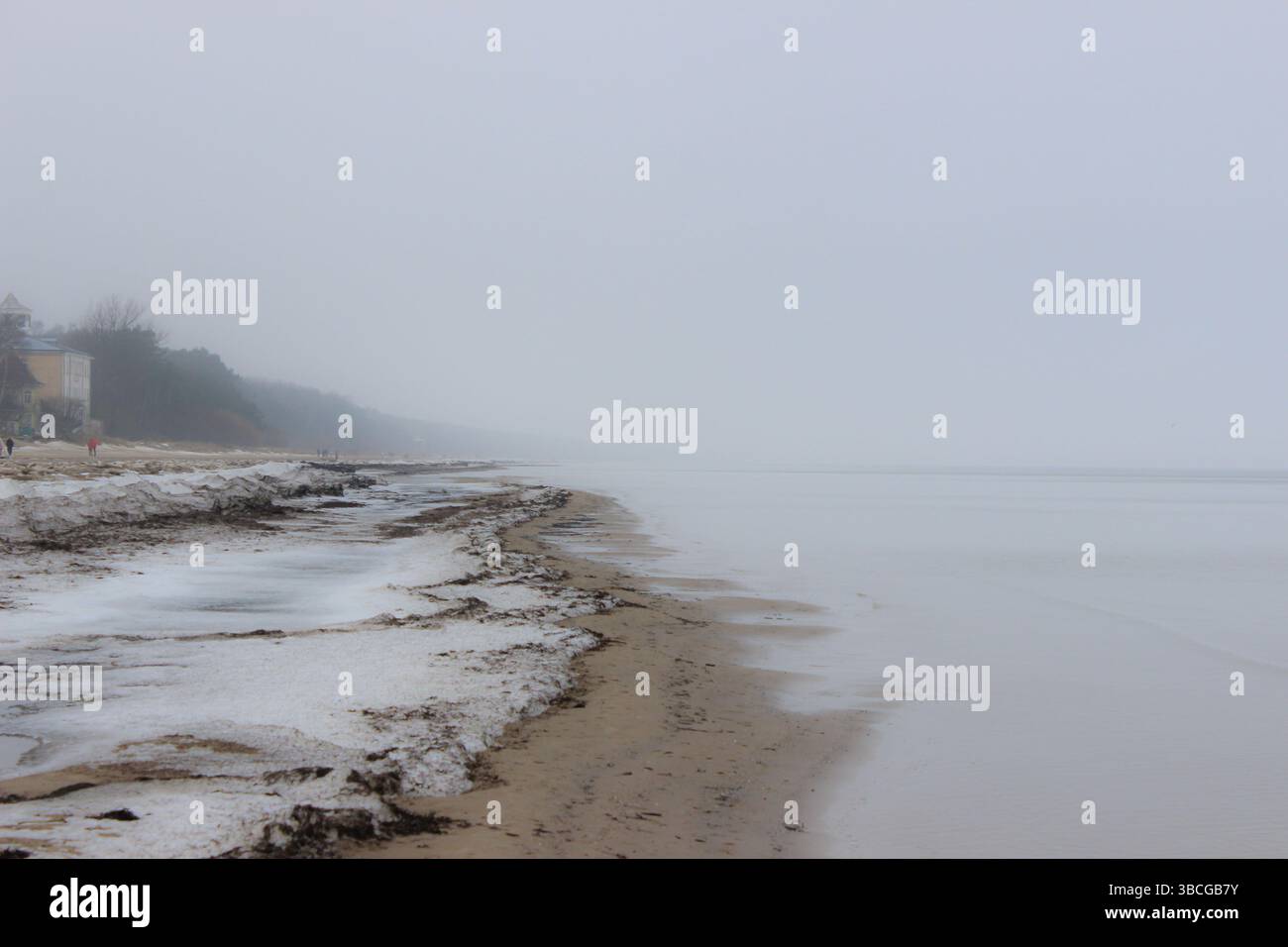 A desolate winter shoreline stretches into the fog, with patches of ...