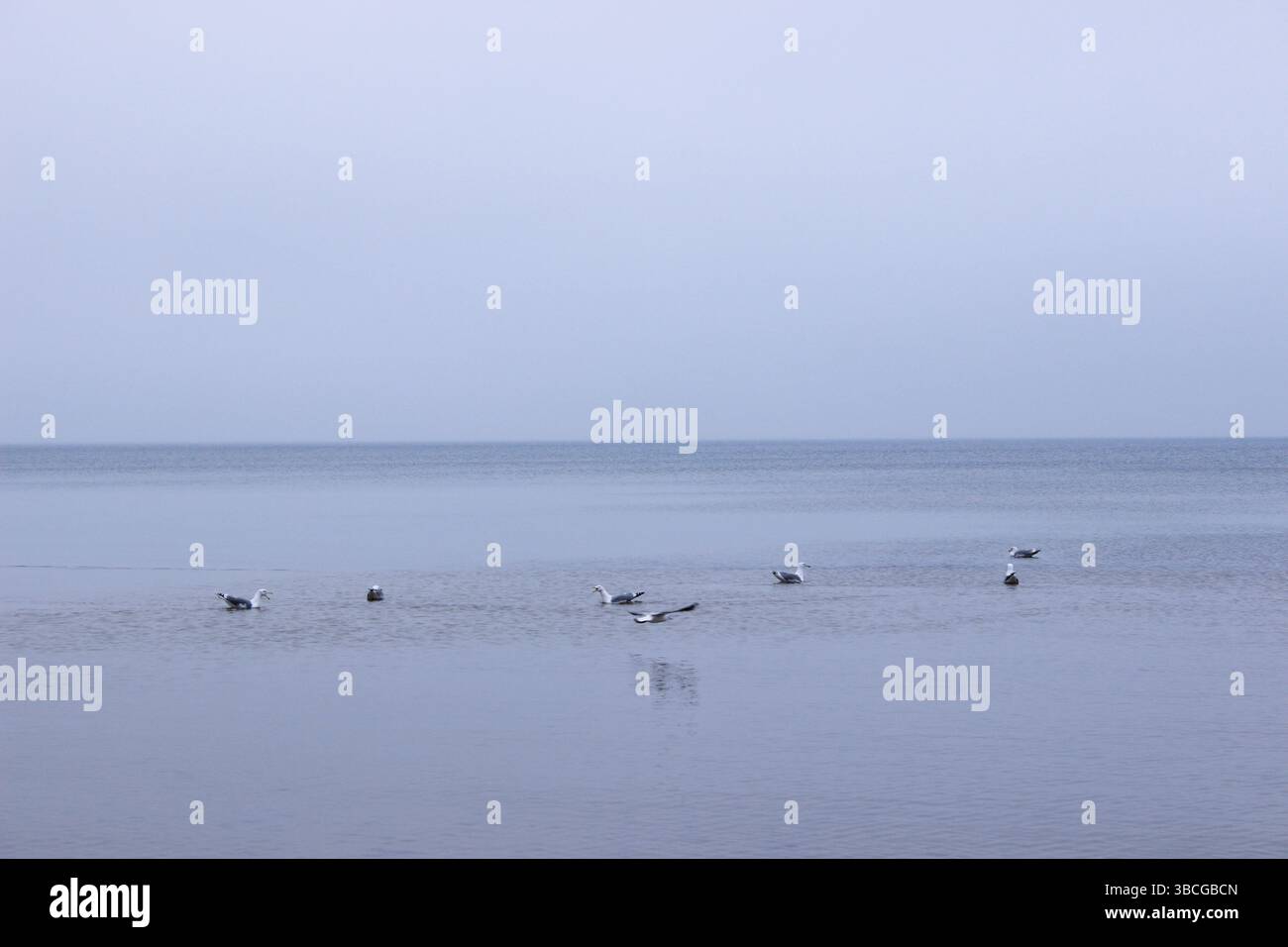 Blue calm sea water sky hi-res stock photography and images - Alamy