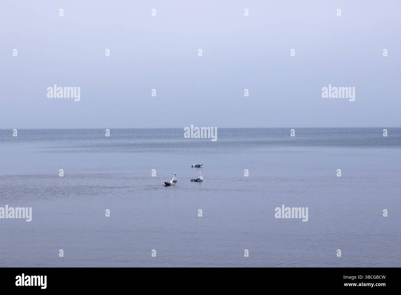 Blue calm sea water sky hi-res stock photography and images - Alamy