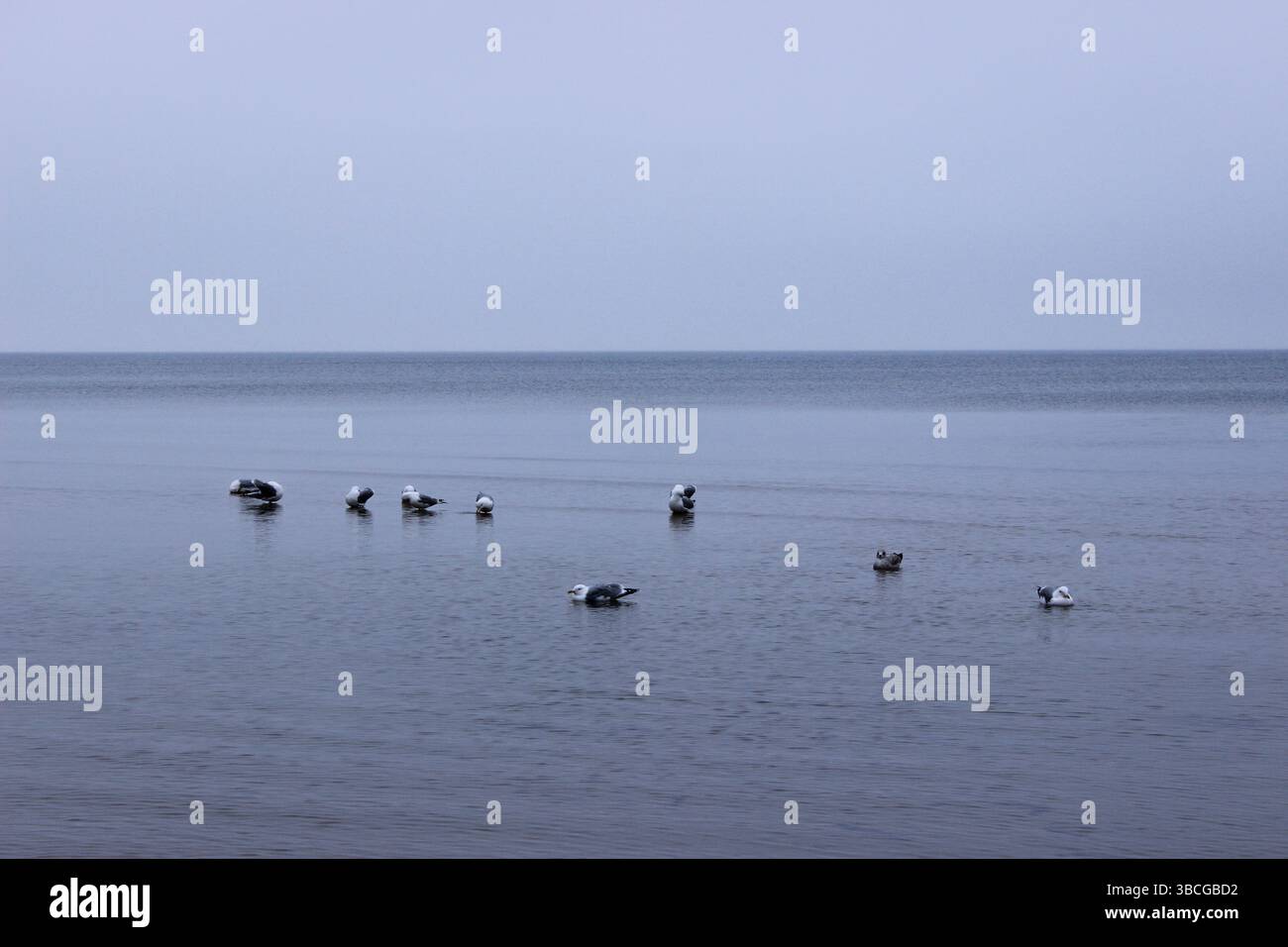 Blue calm sea water sky hi-res stock photography and images - Alamy