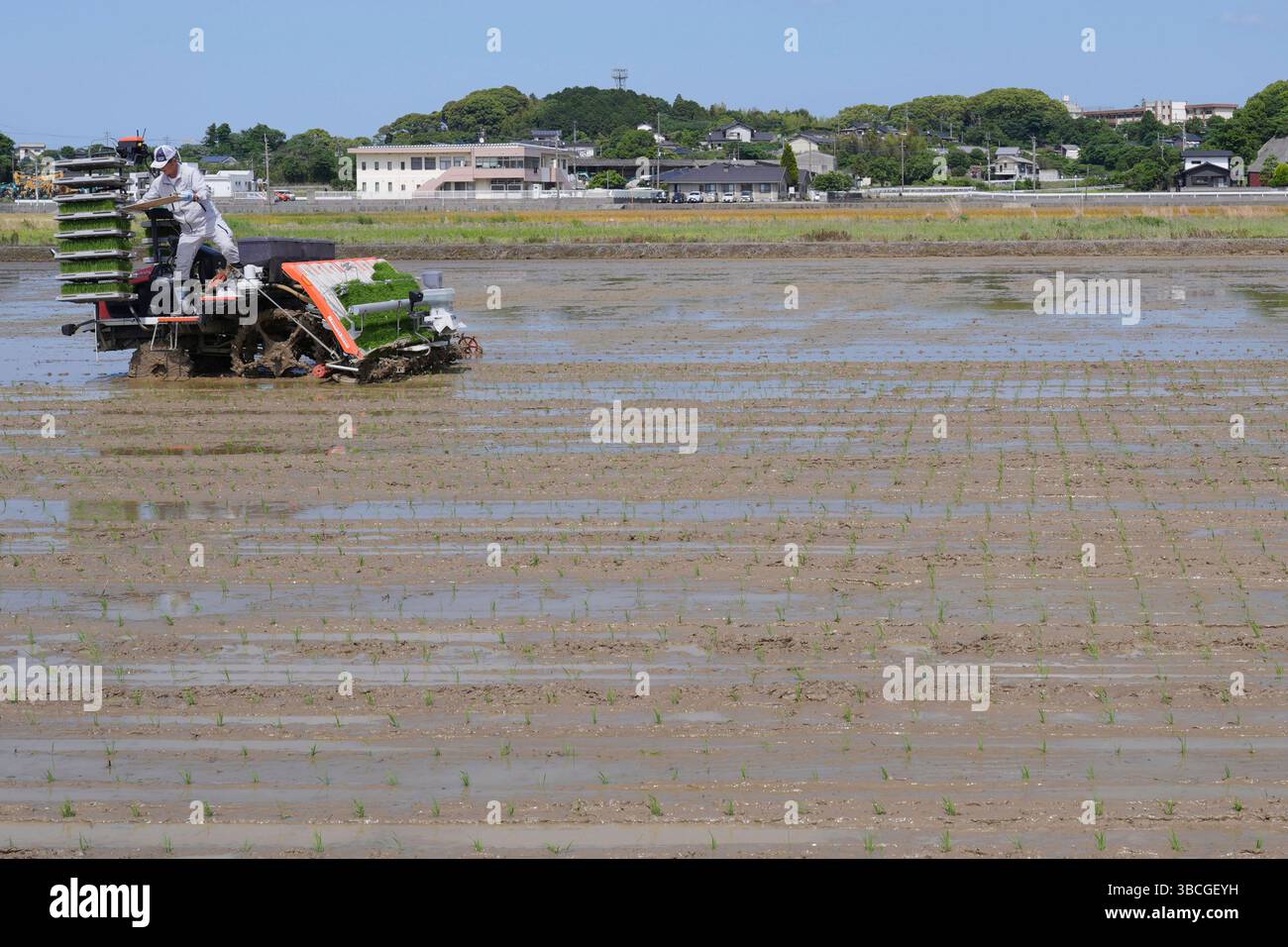 A photo shows rice planting using an autonomous rice planting machine ...