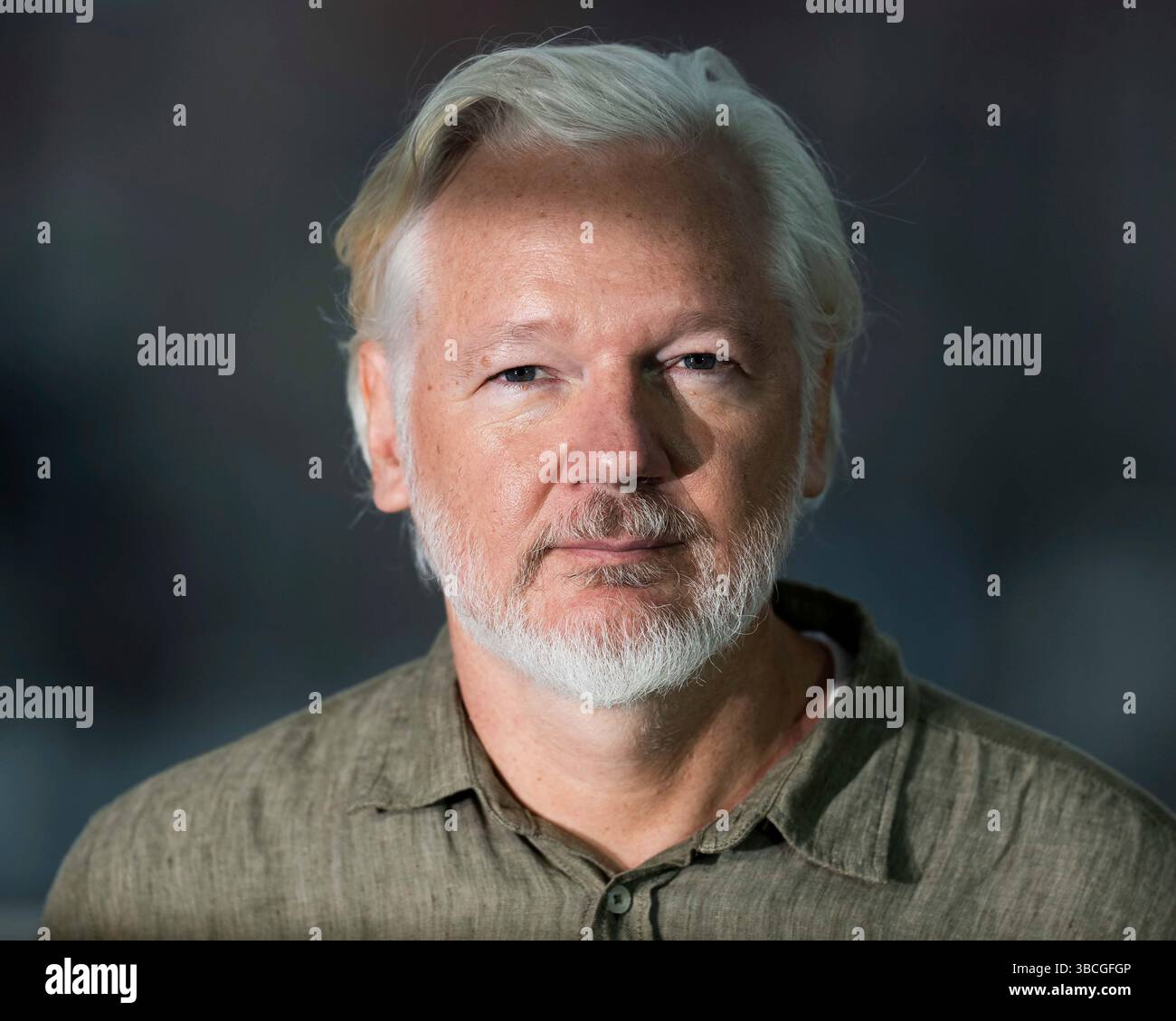 Julian Assange poses for photographers at the photo call for the film ...