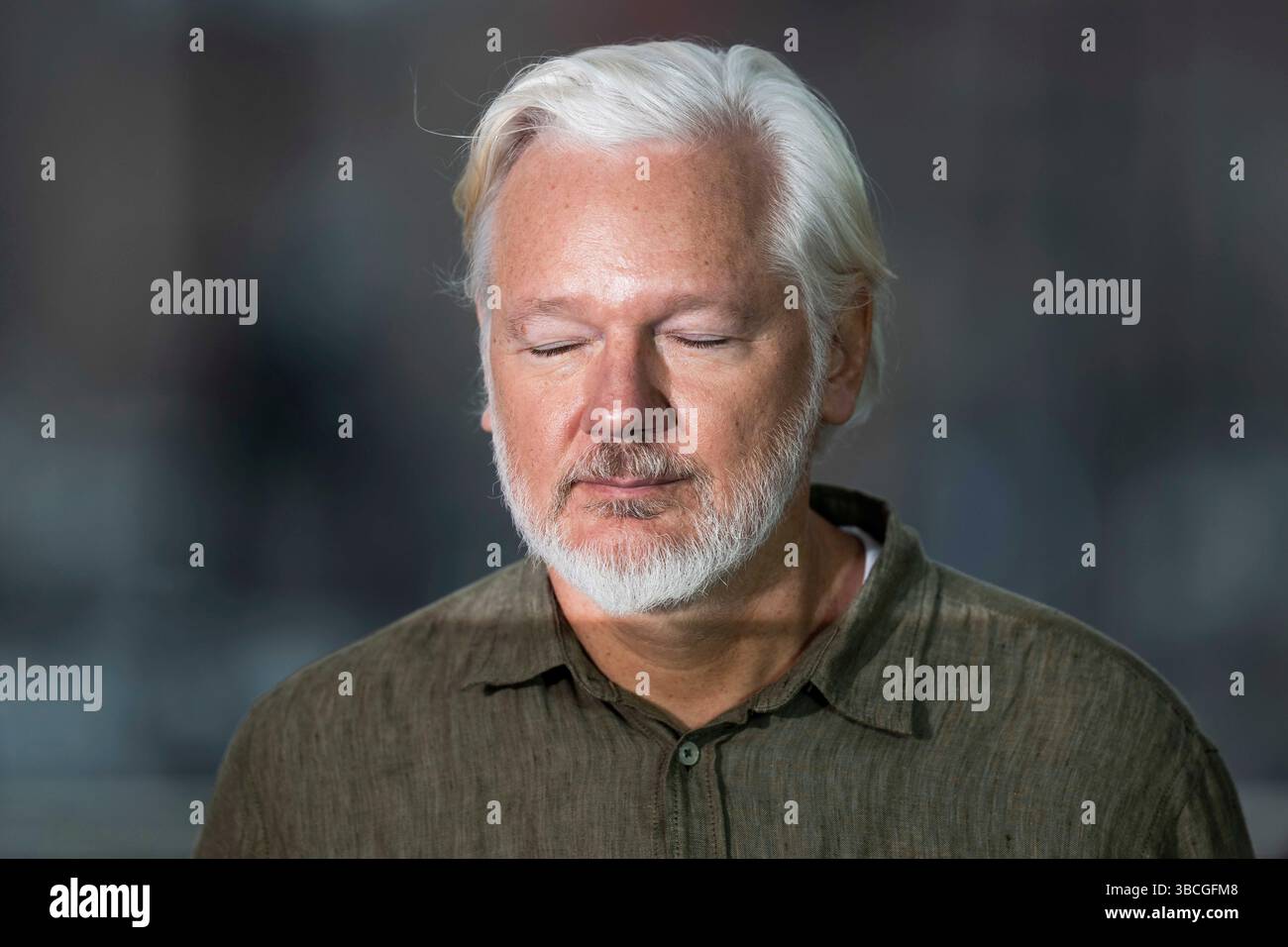 Julian Assange poses for photographers at the photo call for the film ...