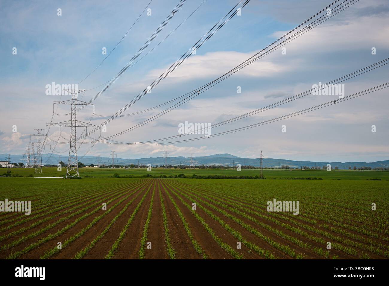 Transmission towers carrying power lines over a cultivated field ...
