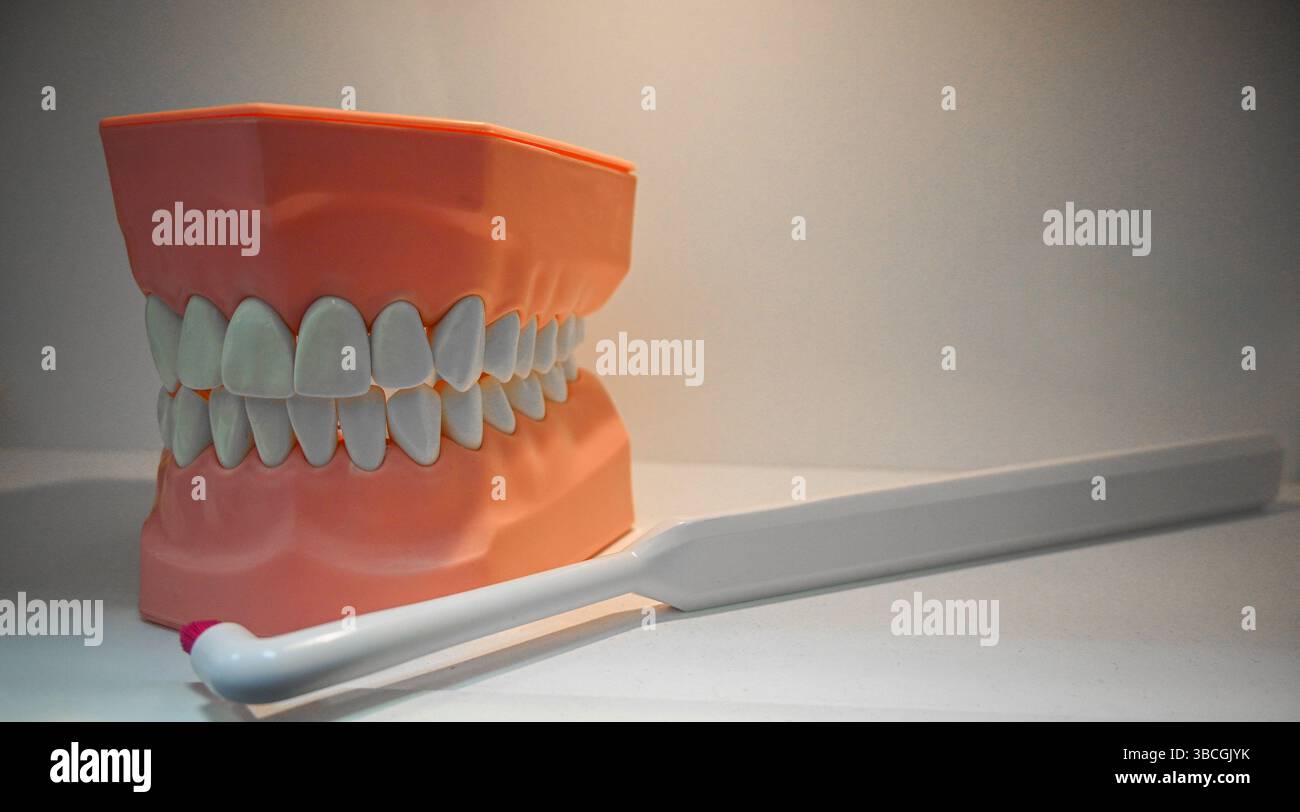 Electric toothbrush brushing a dental model promoting oral hygiene and ...