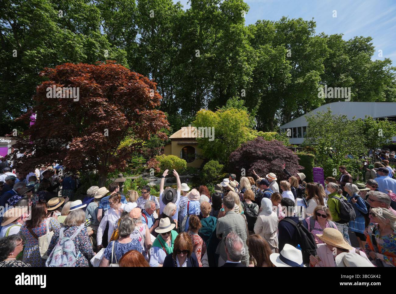 Visitors viewing Cha no Niwa - Japanese Tea Garden, which was a gold ...