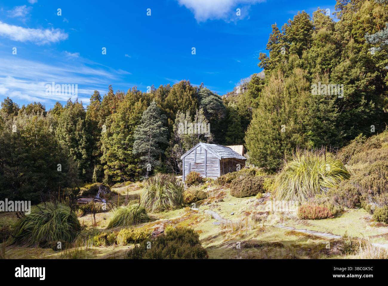 Iconic Du Cane Hut built by Patrick Joseph 'Paddy' Hartnett on the ...