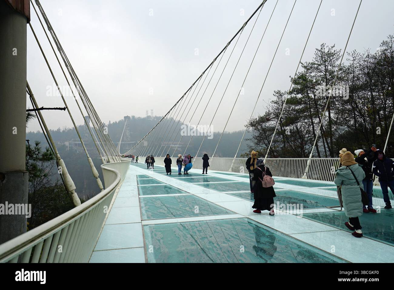 Avatar Grand Canyon Glass Bridge, Zhangjiajie, Hunan, China Stock Photo ...