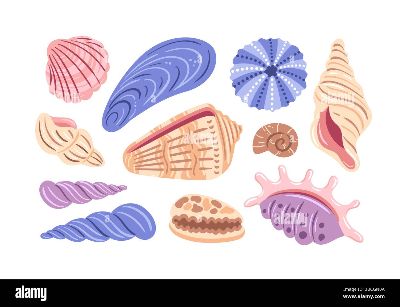 A vibrant assortment of seashells in beautiful colors and patterns ...